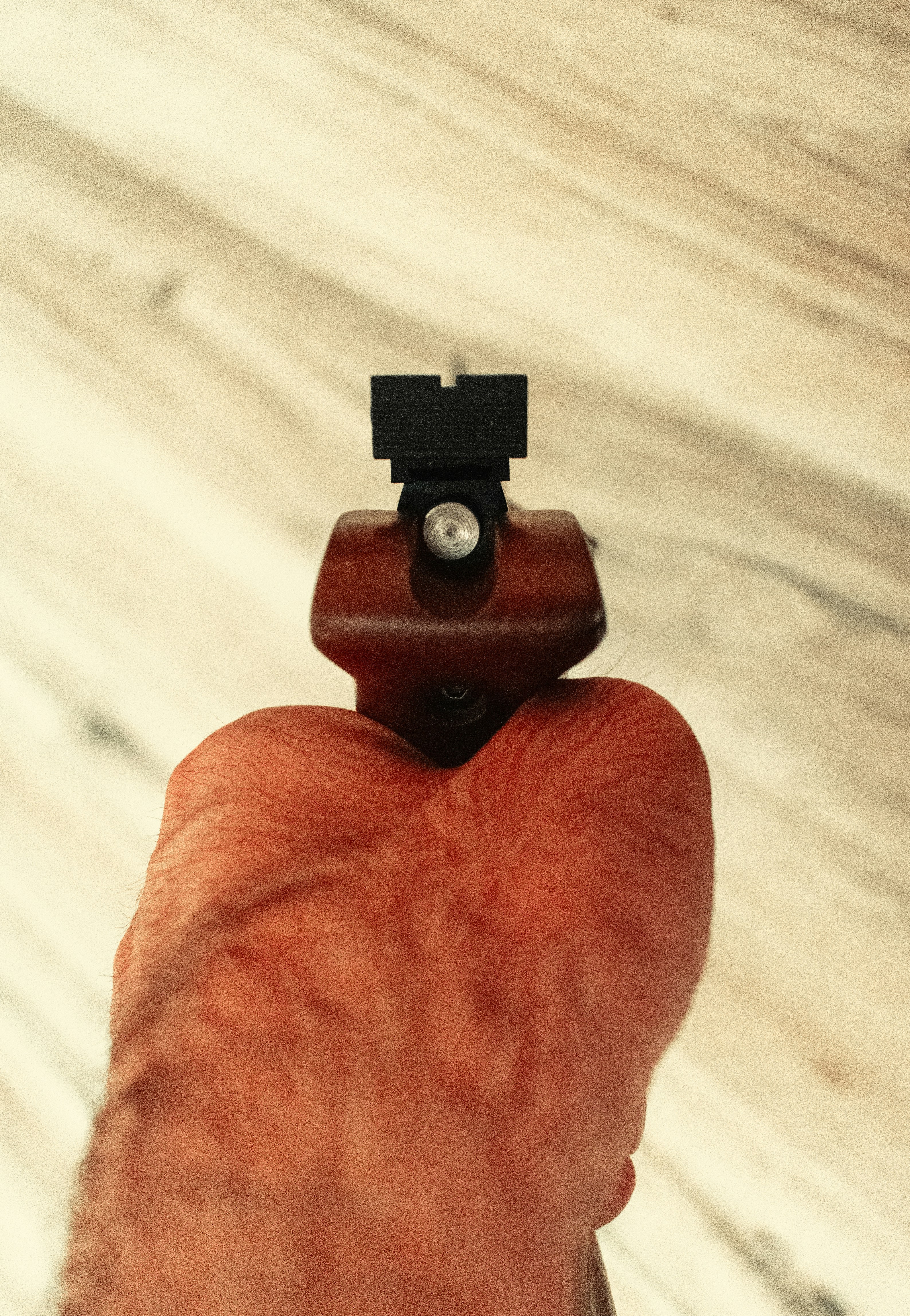 Target in Sight: Close-Up of a Hand-Held Pistol Sighting