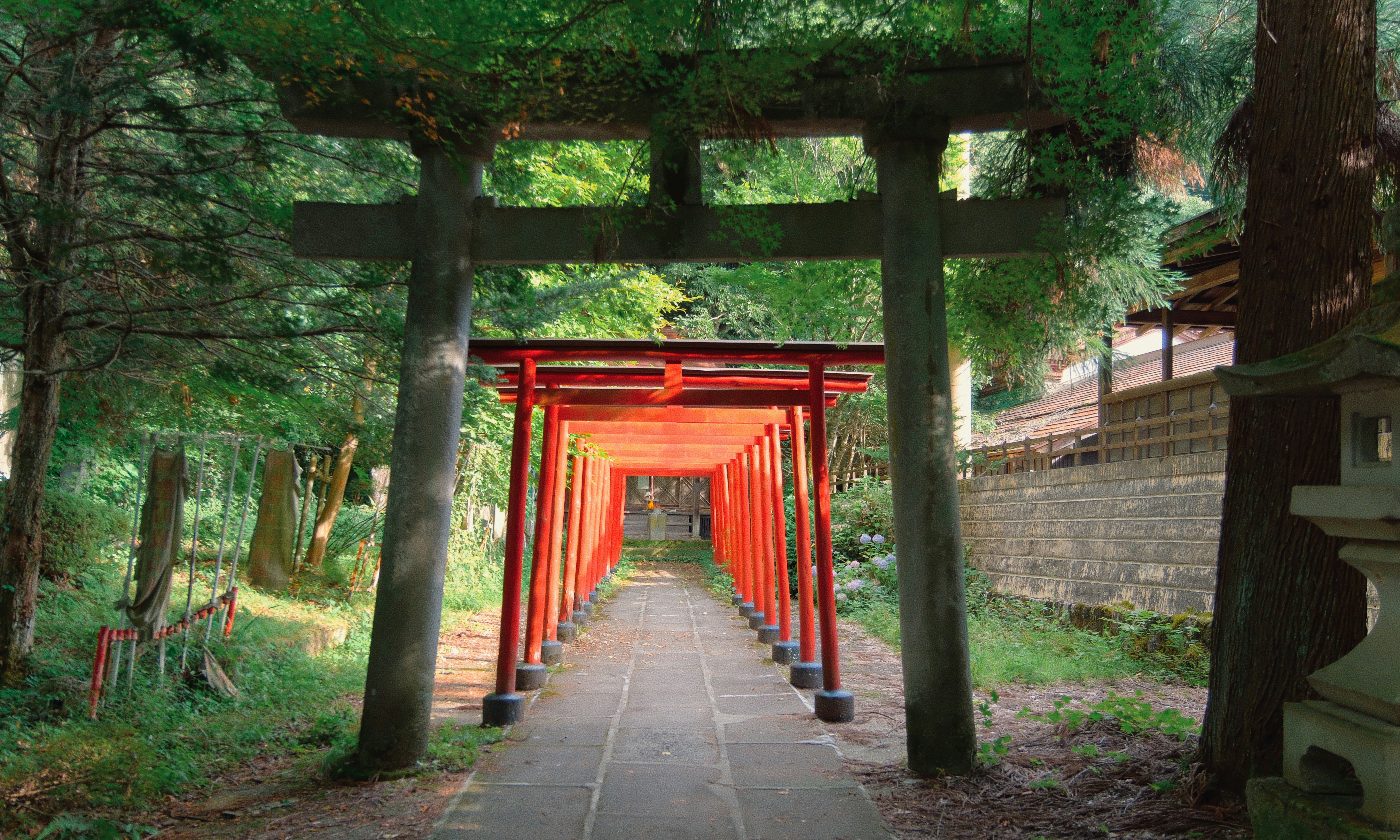 A sunlit stone path lined with a sequence of red torii gates extending into the distance, framed by green trees and a stone wall on the right. A tranquil shrine corridor in Japan.