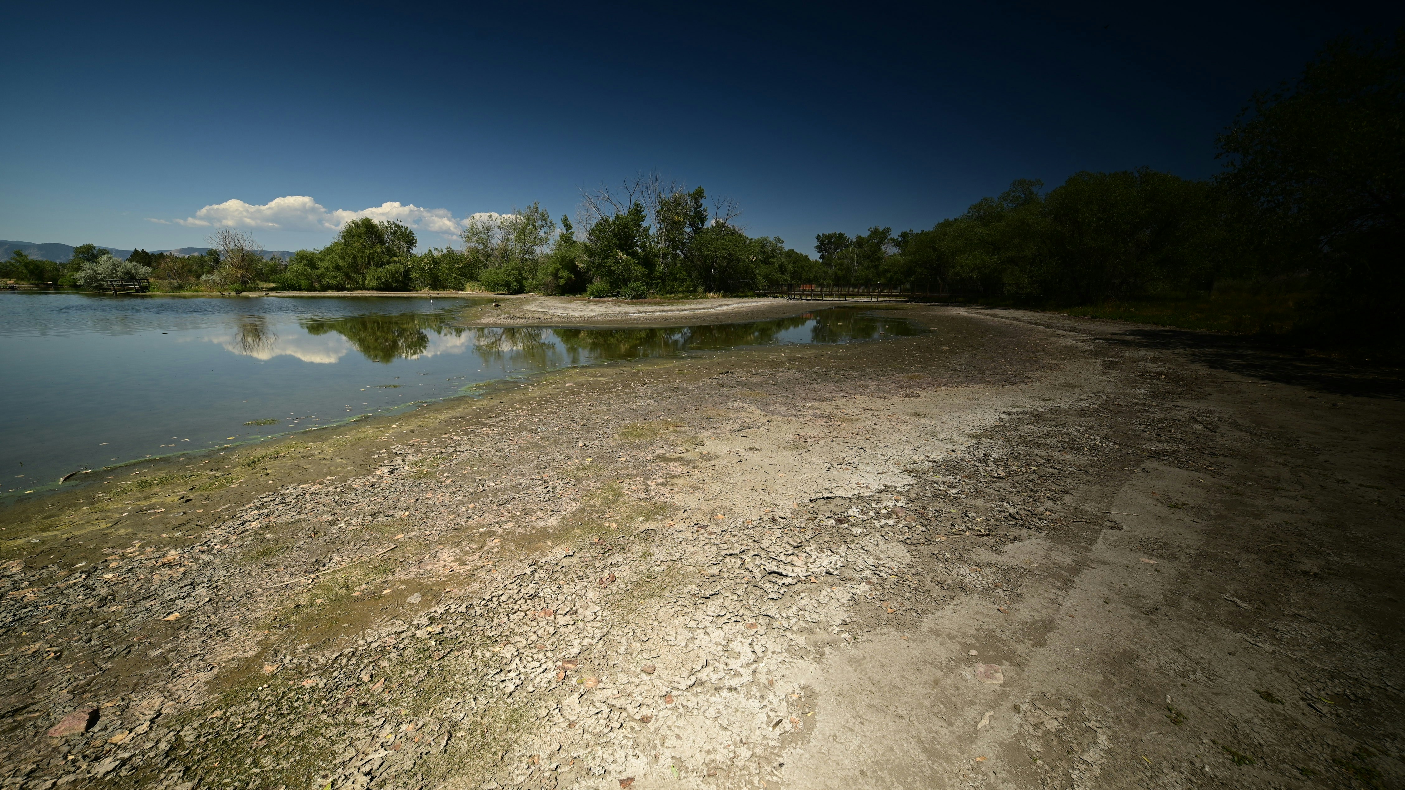 Dawn on the Shallow Edge: A Quiet Riverbank Between Calm Waters