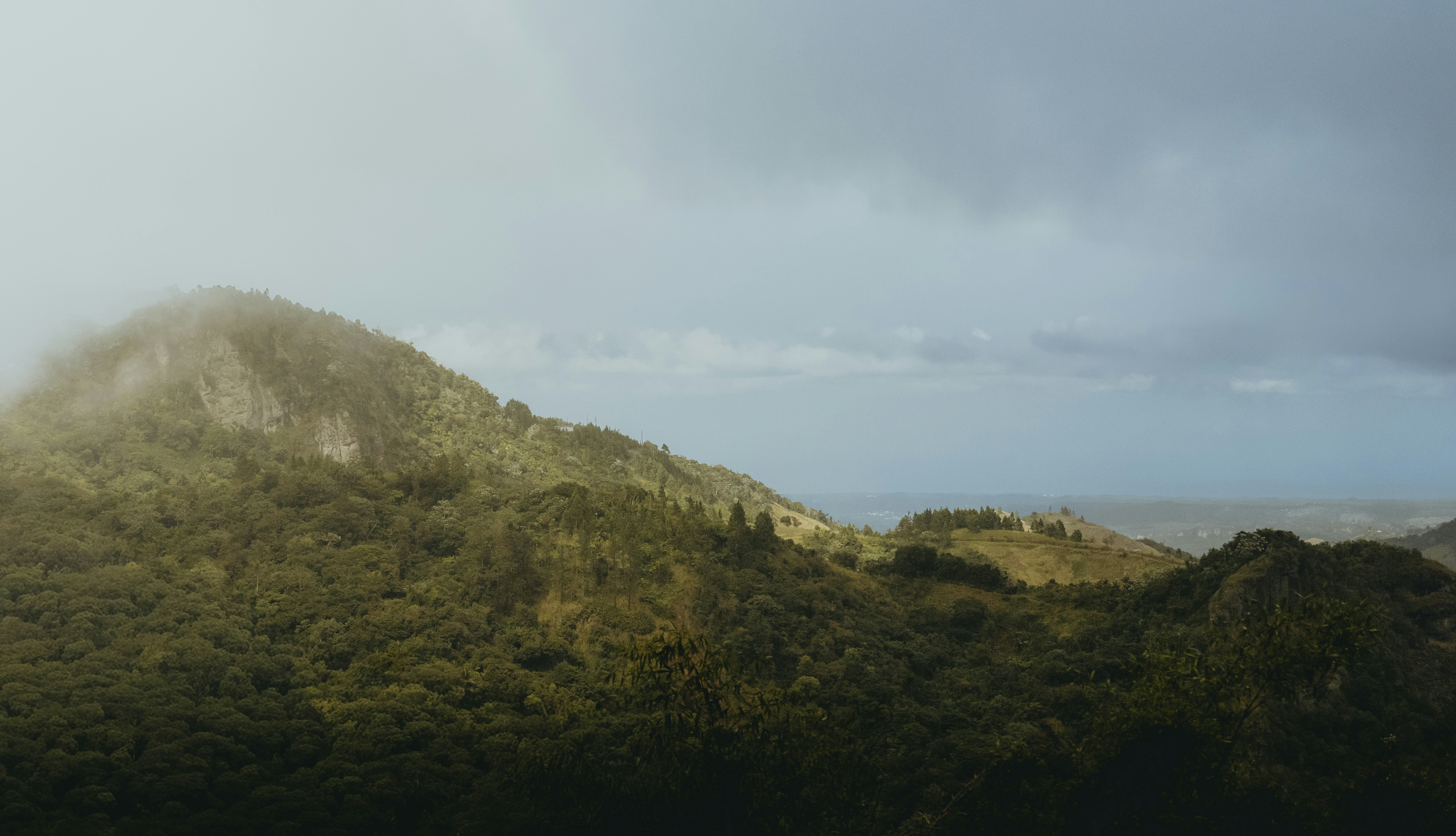 Mist over rolling hills meets distant sea line, with early light revealing forested slopes and a rocky peak. This landscape emphasizes serene contrast between land and horizon.