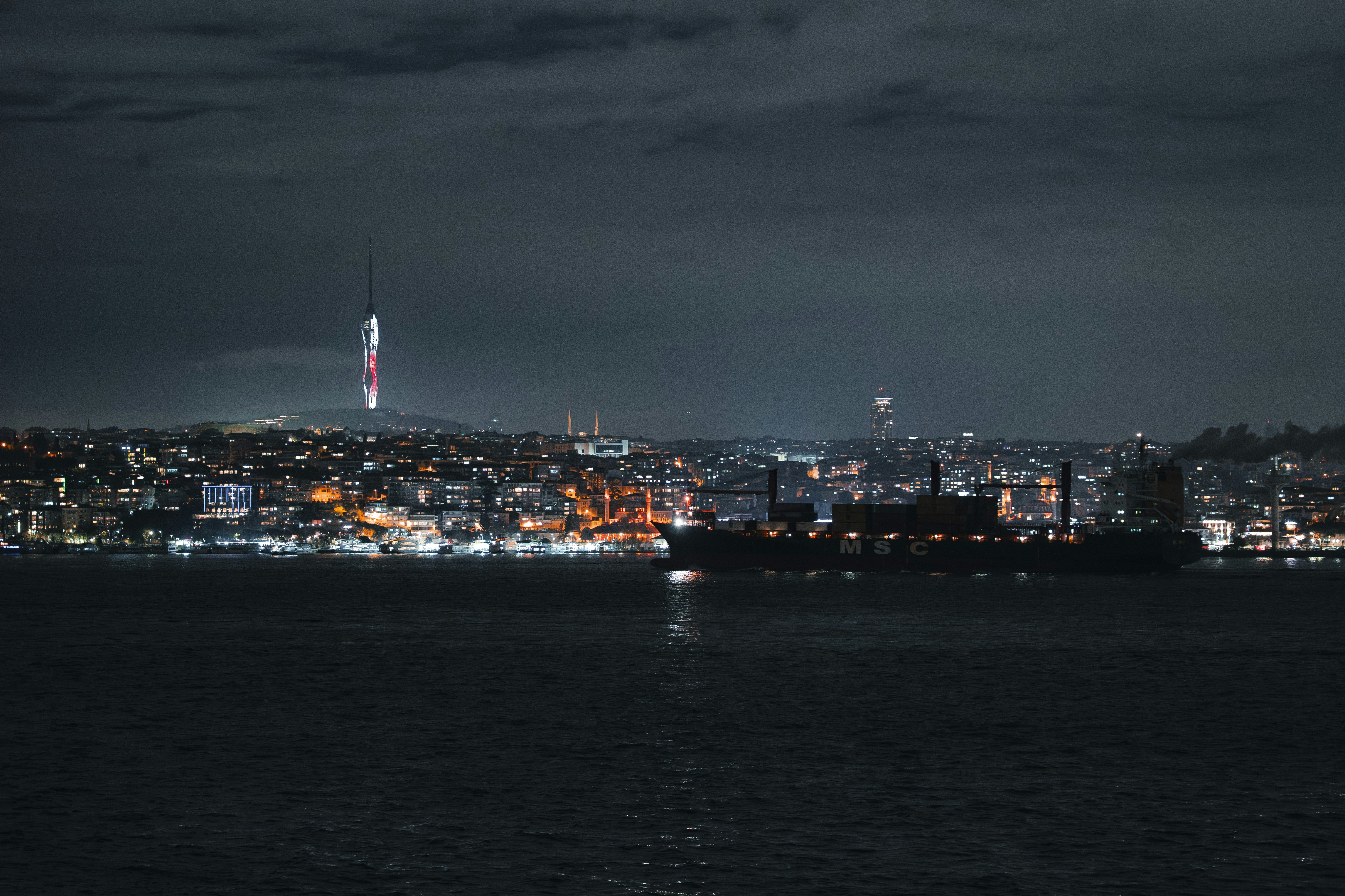 City Lights Across the Water: Night View from the Shore