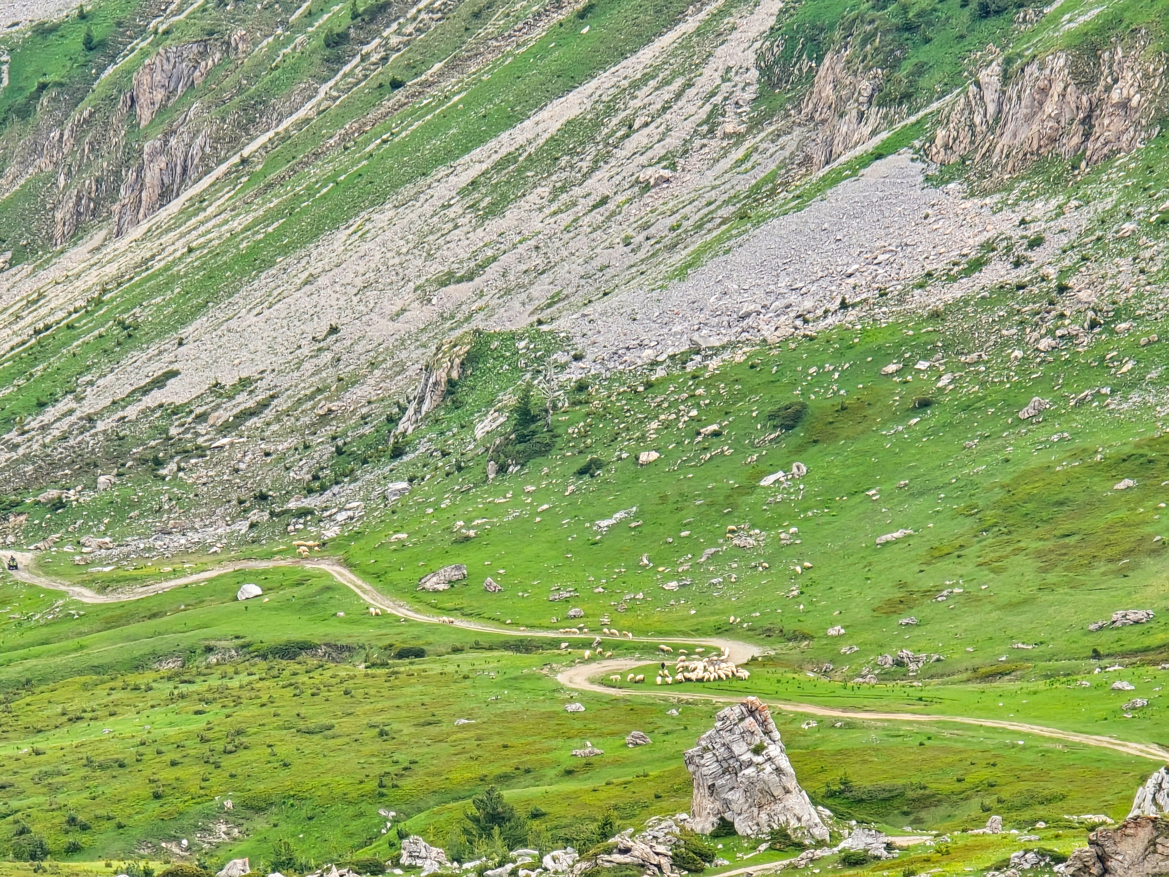 Green Valley Switchback Under Alpine Slopes
