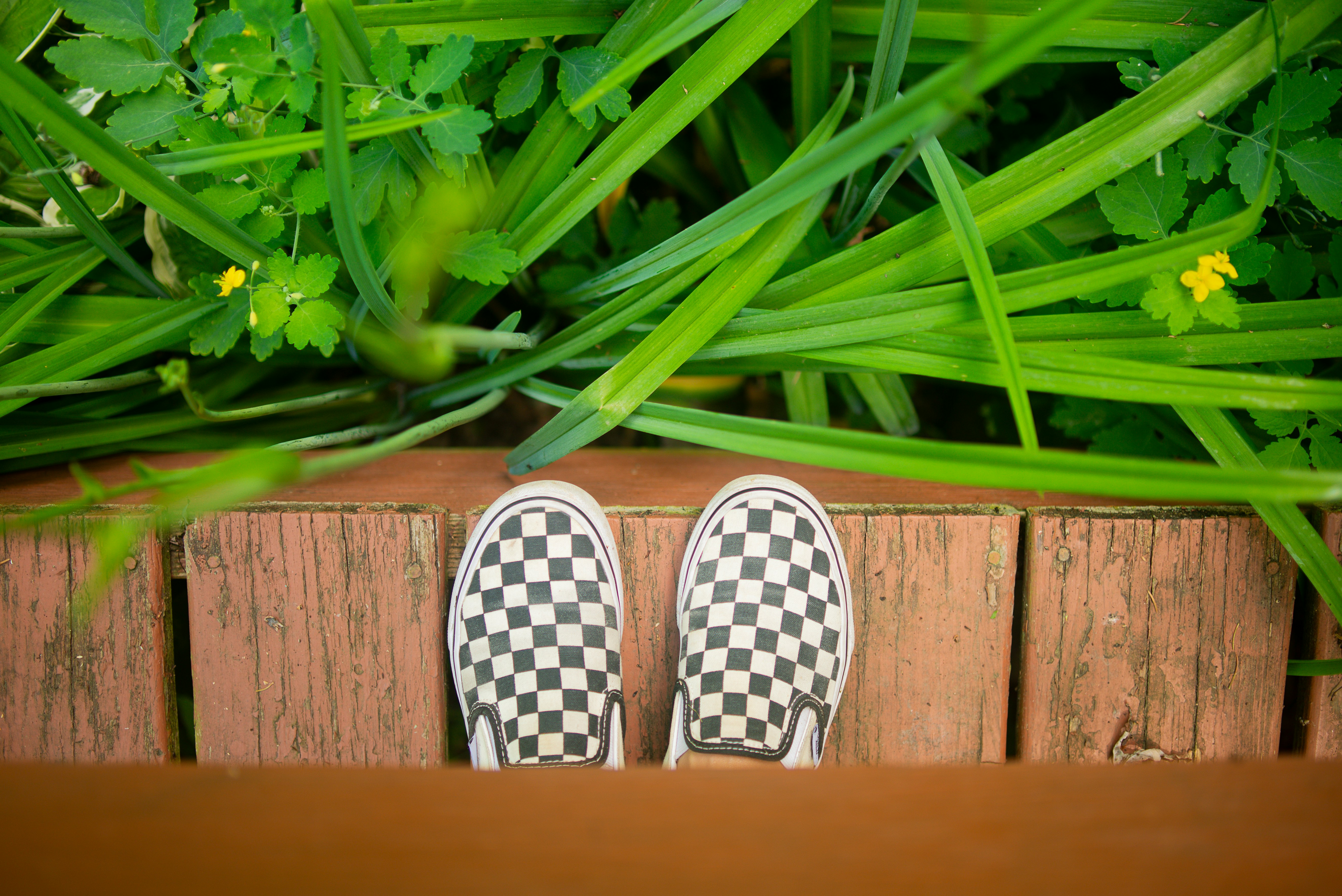 Checkerboard Steps: Footwear Framed by Garden Grasp