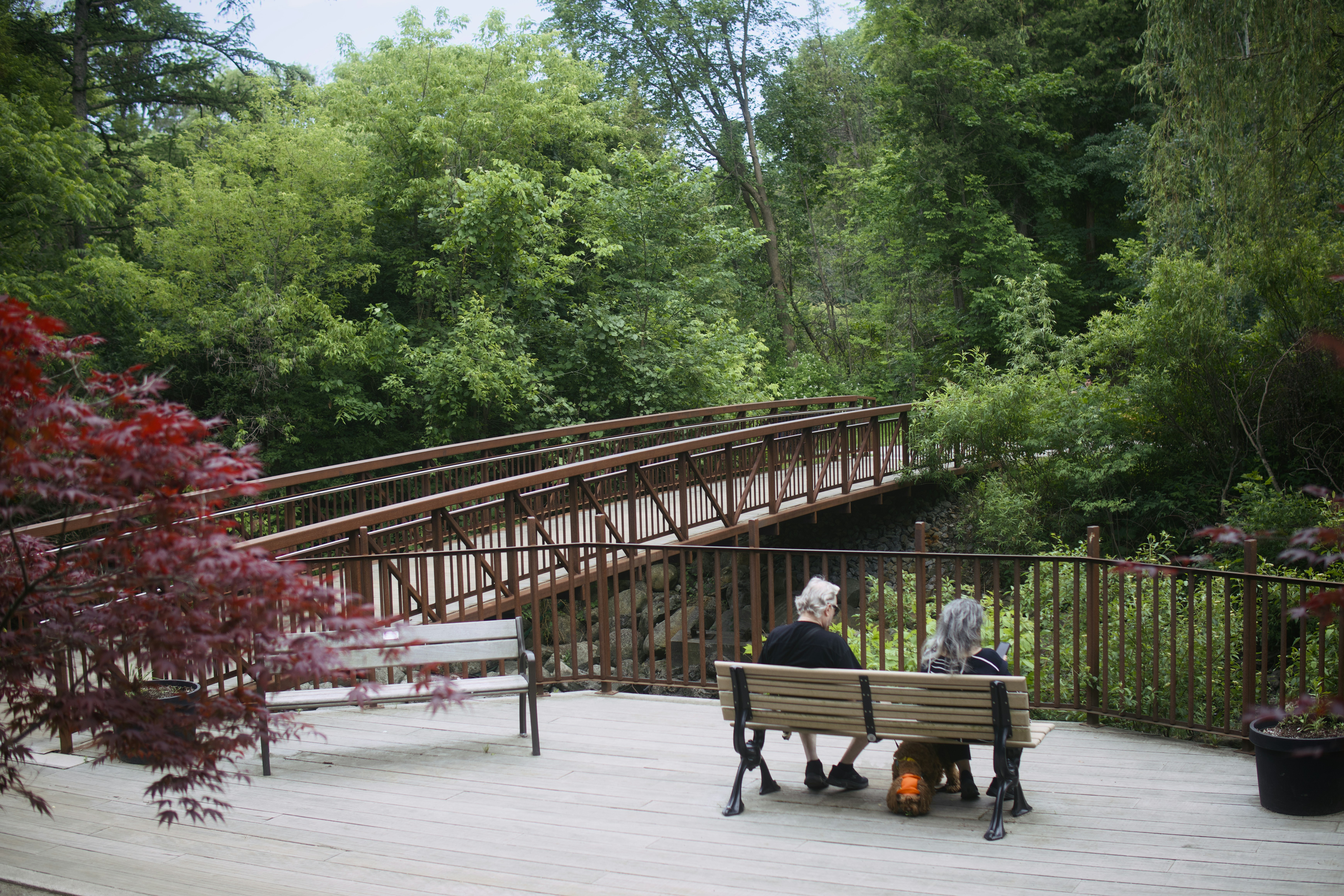 Evening by the Park: A Quiet Moment on the Bench by the Riverwalk