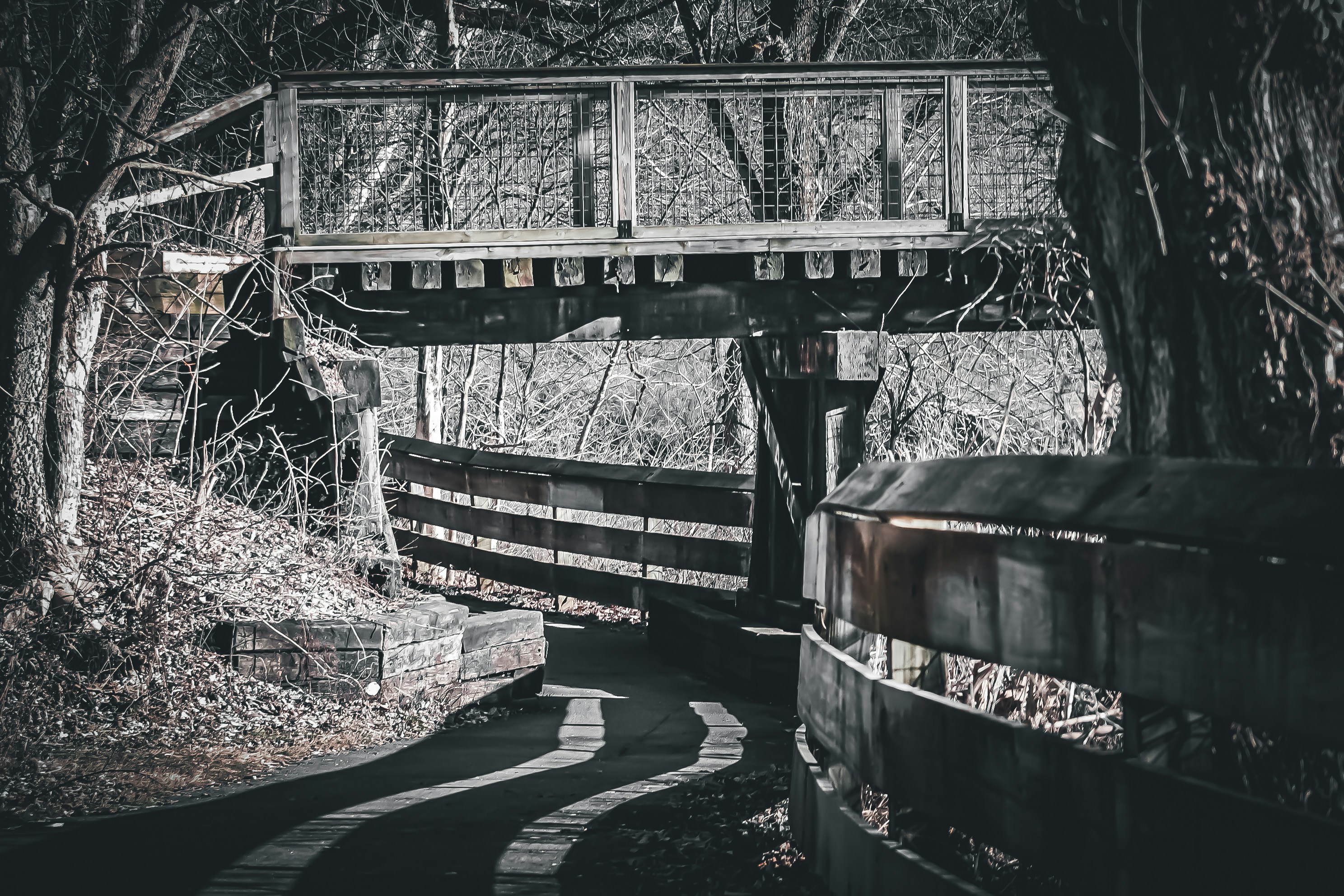 Shadowed Bridge Over a Winding Path