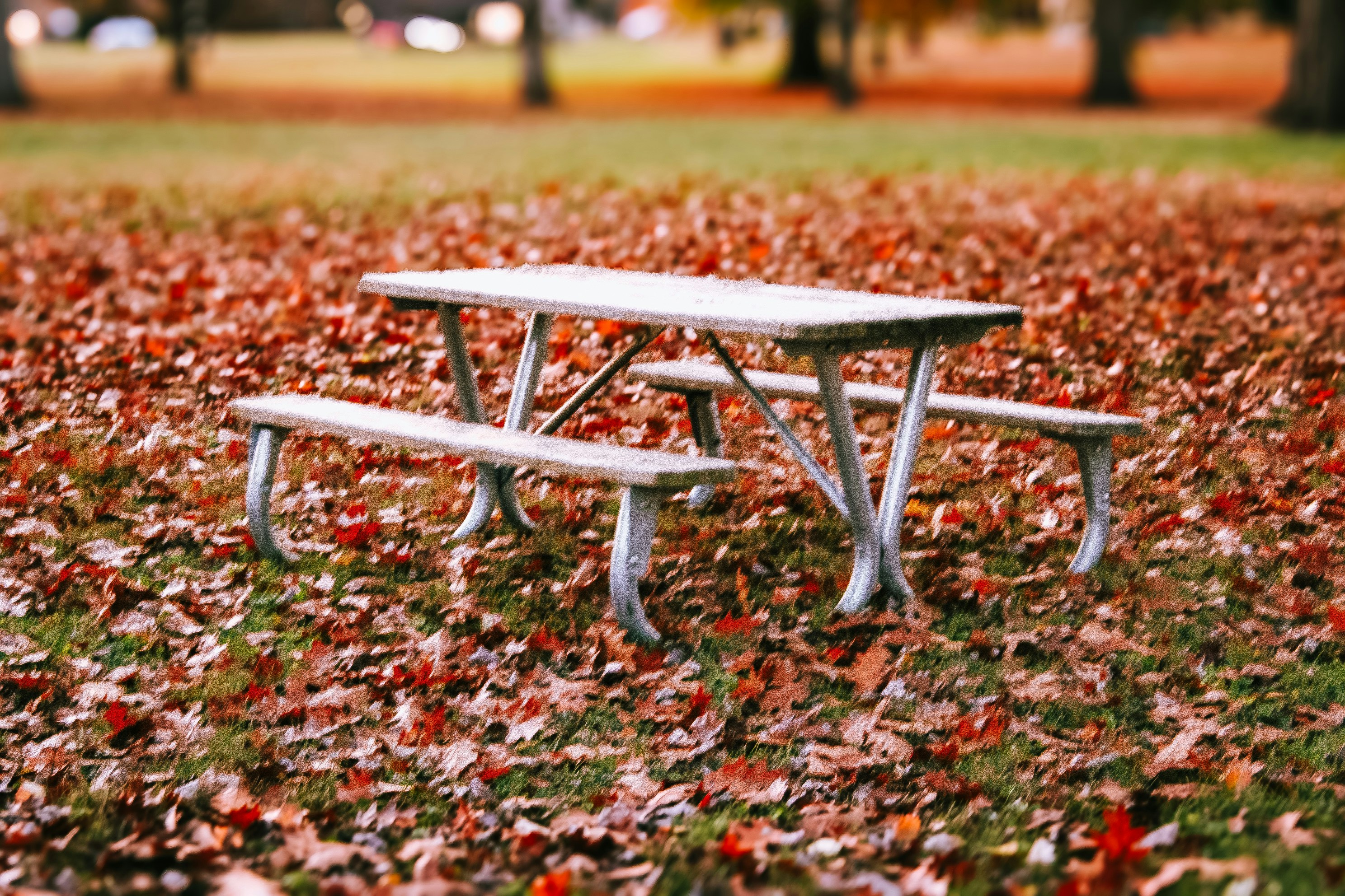 Autumn Seeded Quiet: Metal Picnic Table in a Leaf-Strewn Park