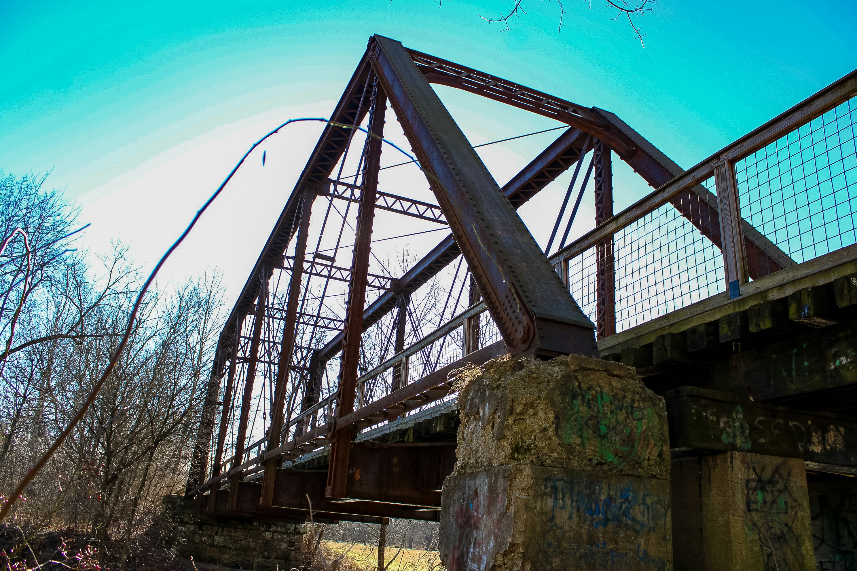 Rust-on-Iron: A Tilted Bridge Framed by Winter Trees