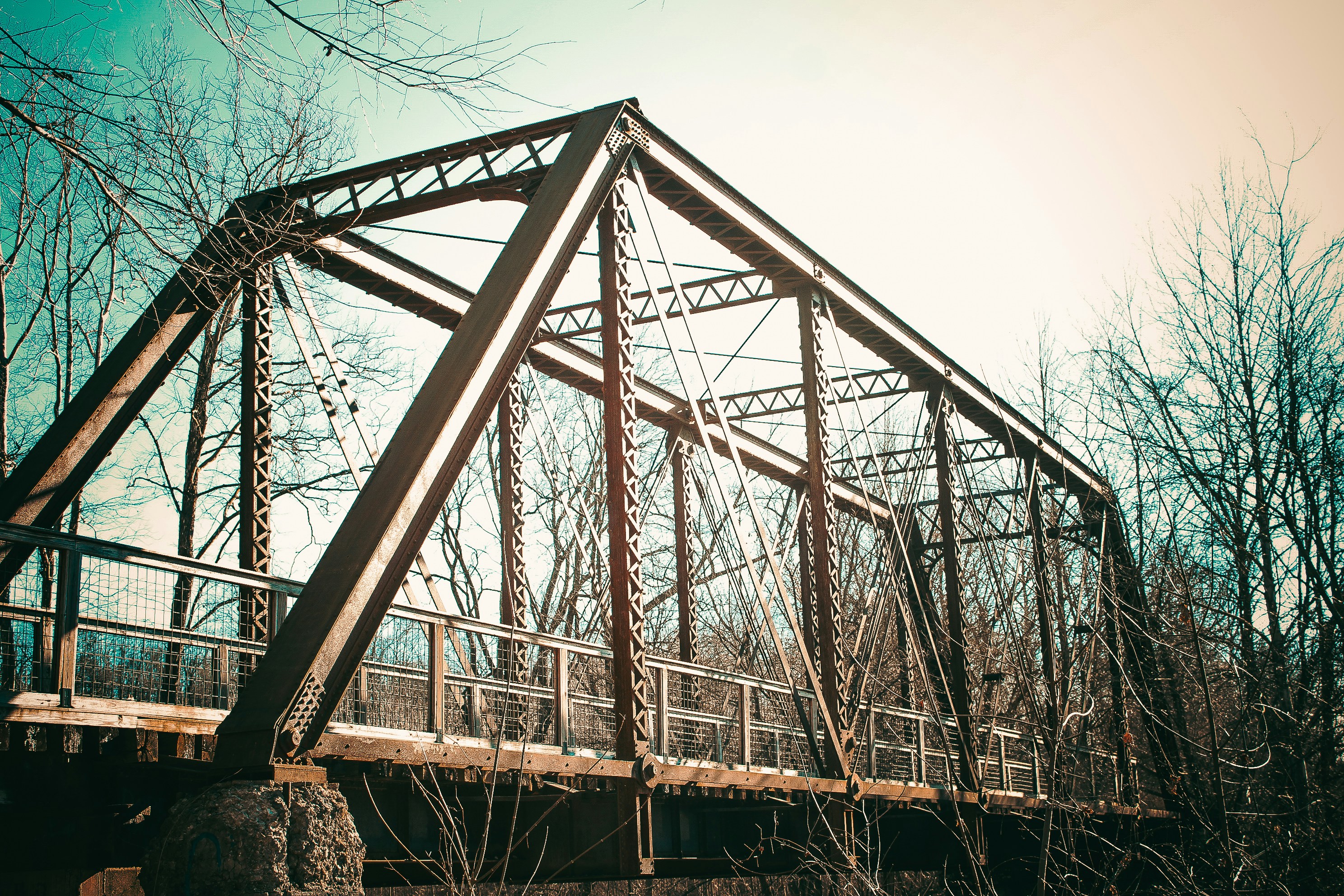 Iron Arches Over Winter Pines