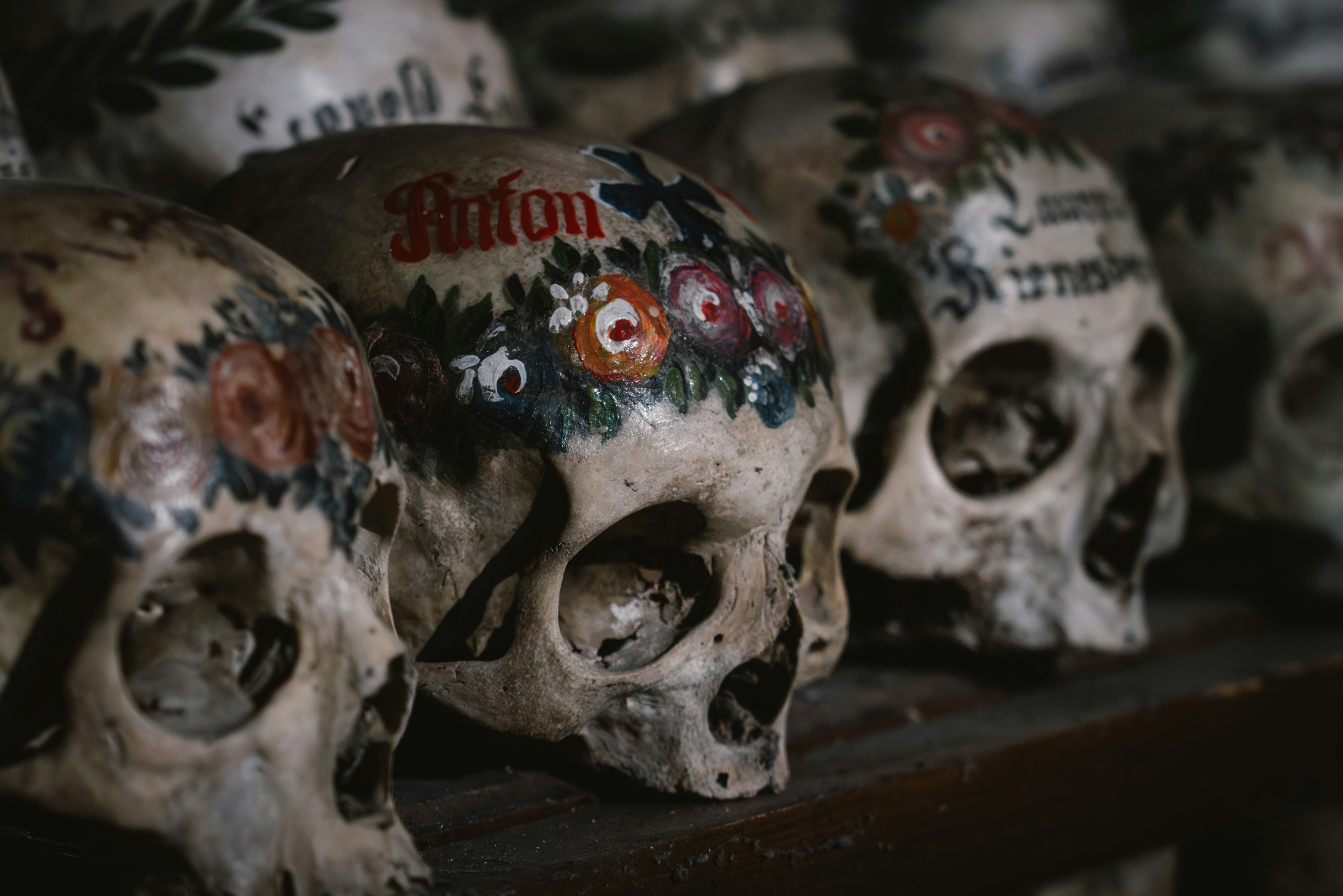 Floral Graffiti on Ivory: Row of Decorated Skulls