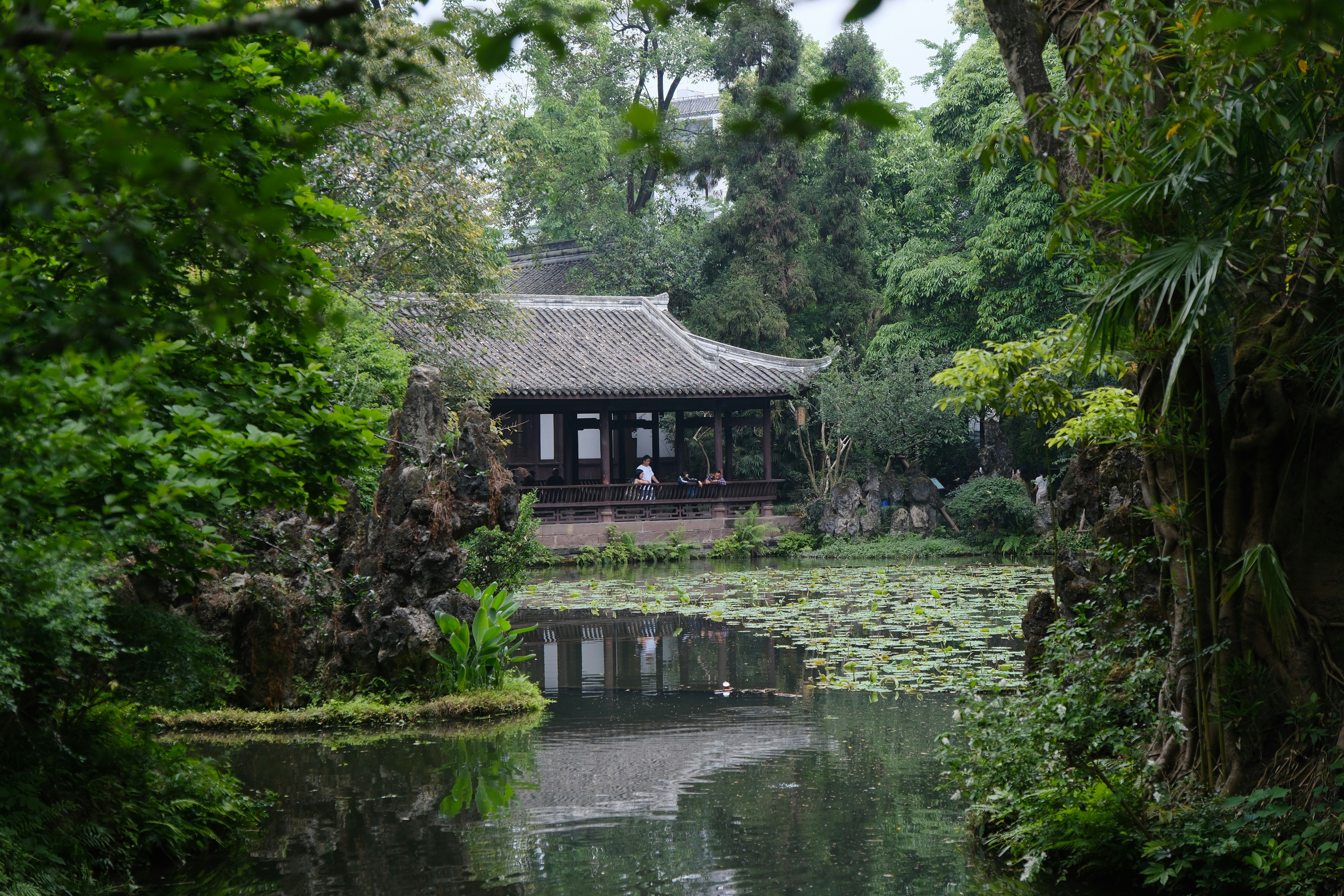 Tranquil Pavilion Beyond the Floating Lily Pond