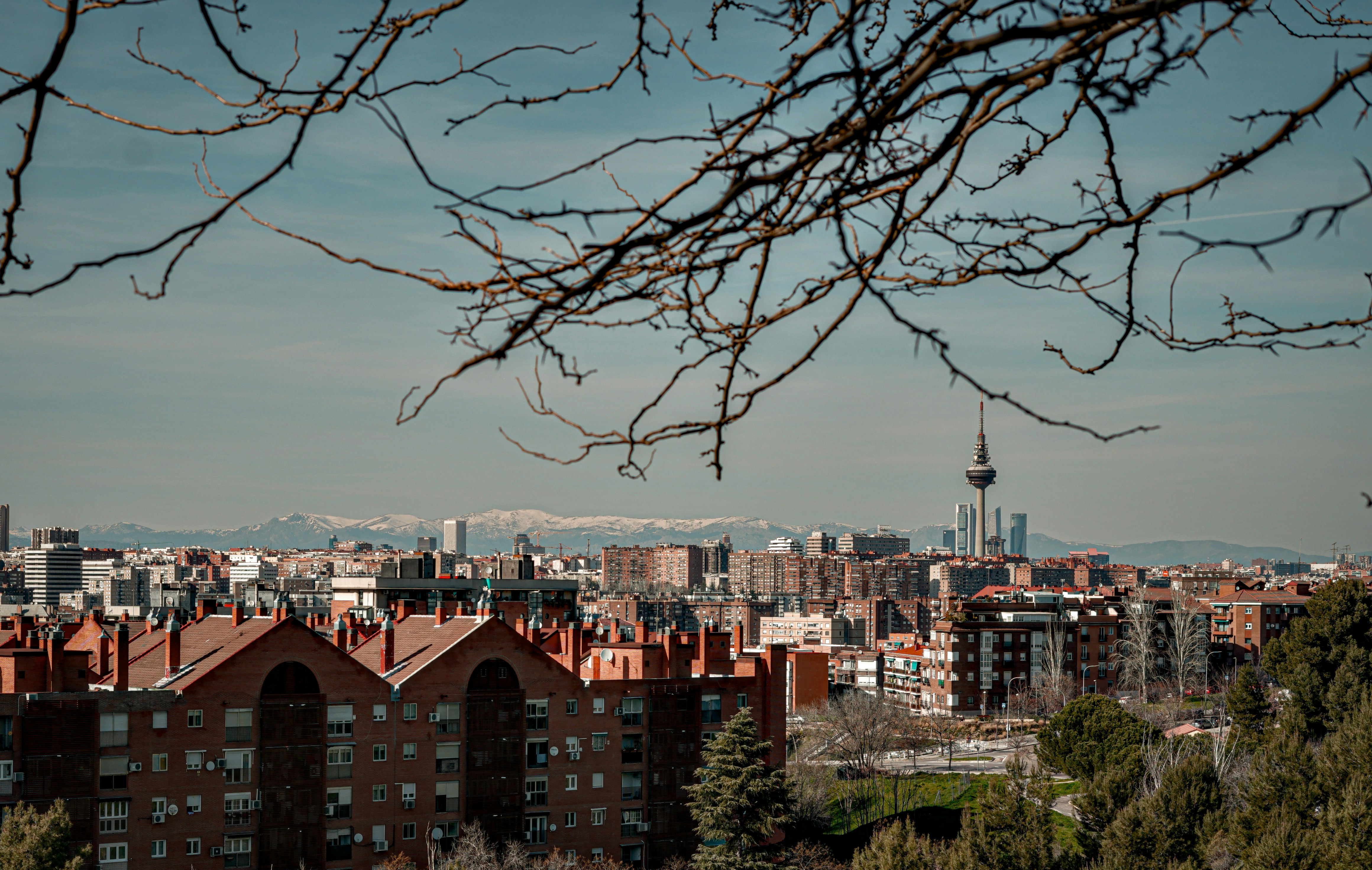 Urban horizon with red brick buildings and distant skyline framed by tree branches; a daytime cityscape emphasizing architecture and distant tower.