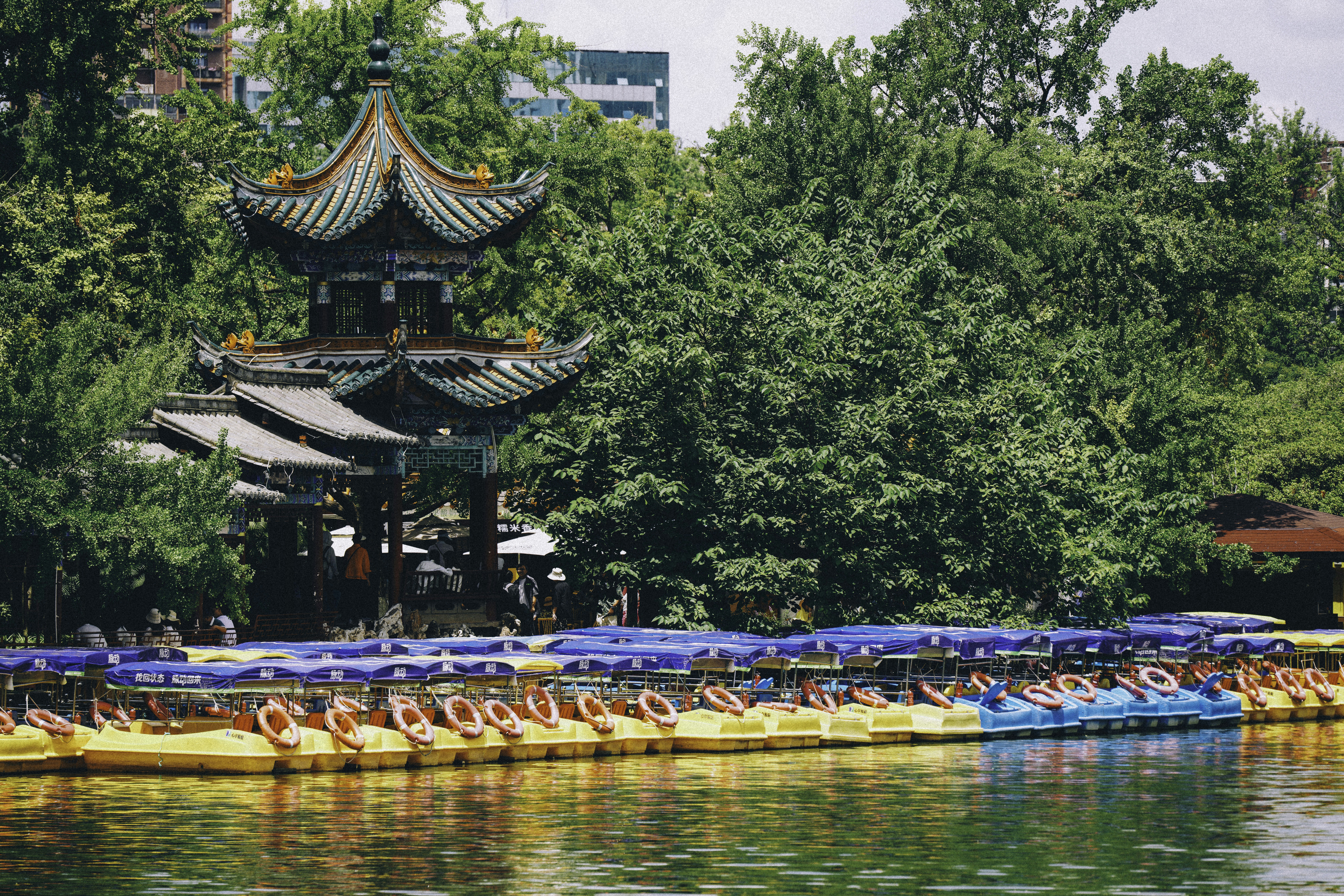Rows of colorful paddle boats Idle along a serene city lake with a pagoda backdrop