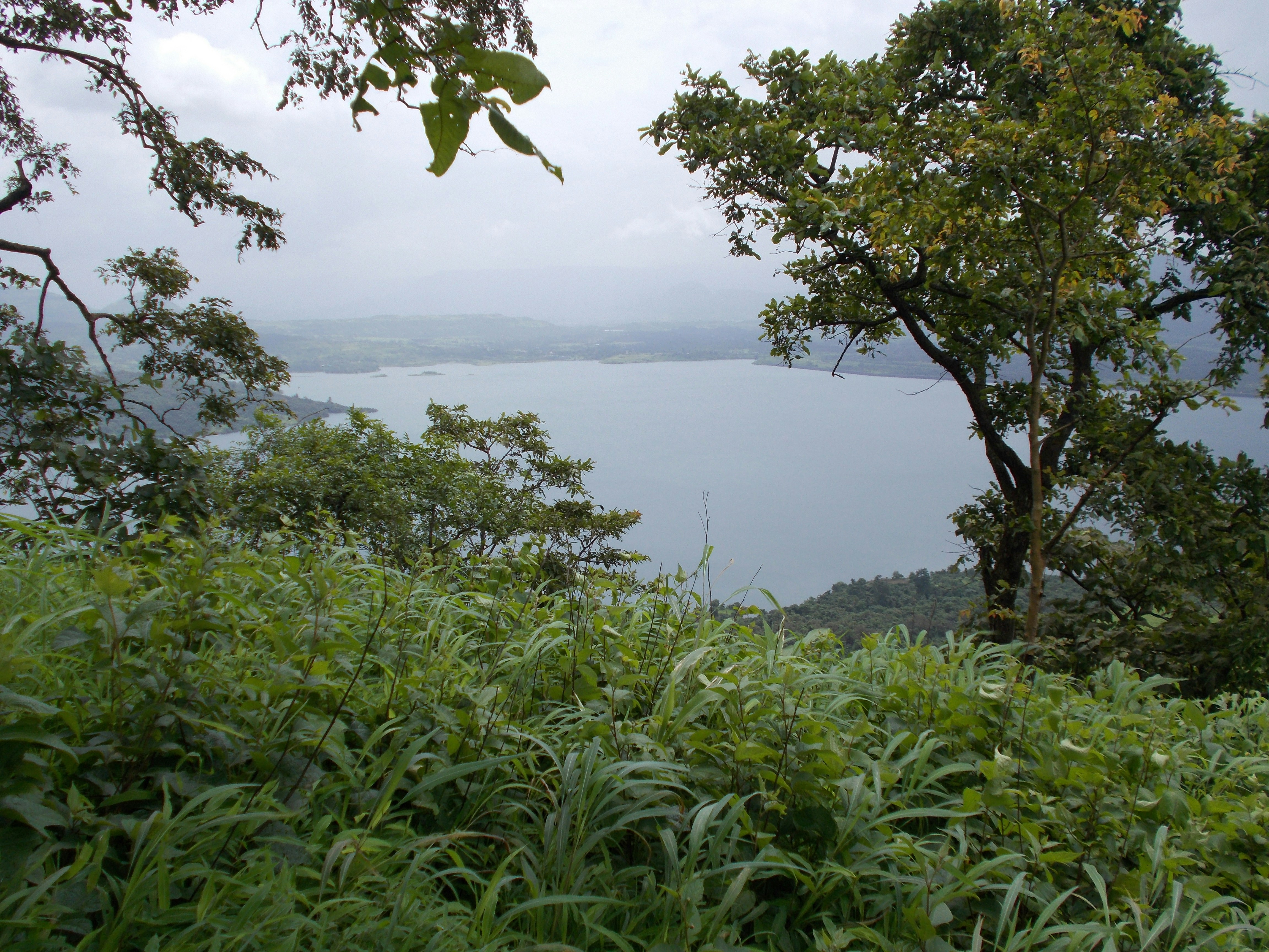 Lush green foreground leads to a calm lake and distant shoreline under a soft sky. A natural landscape emphasizing depth and layering without a prominent human subject.