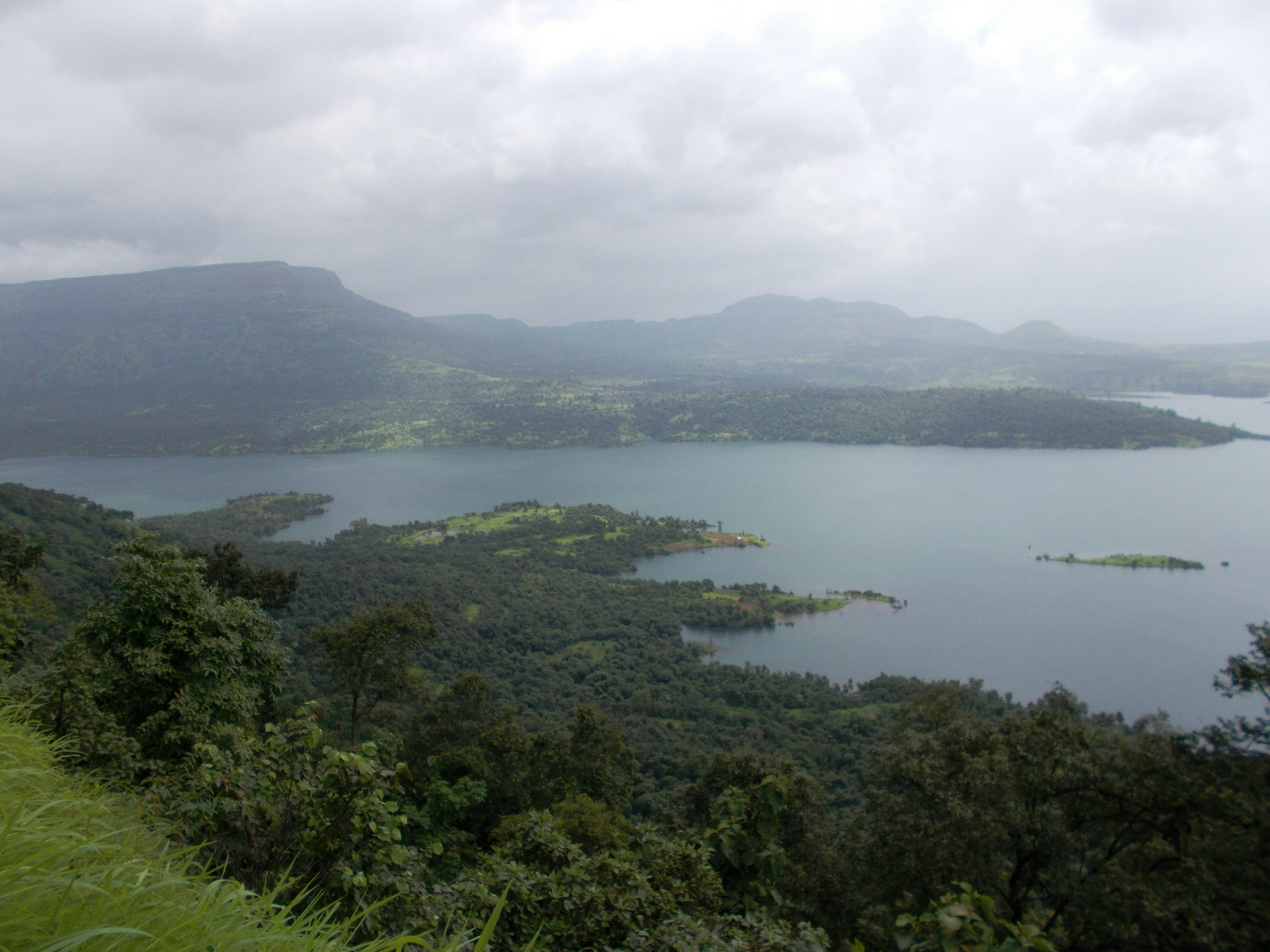 Mist over the Mangrove Lake: A Panoramic Horizon
