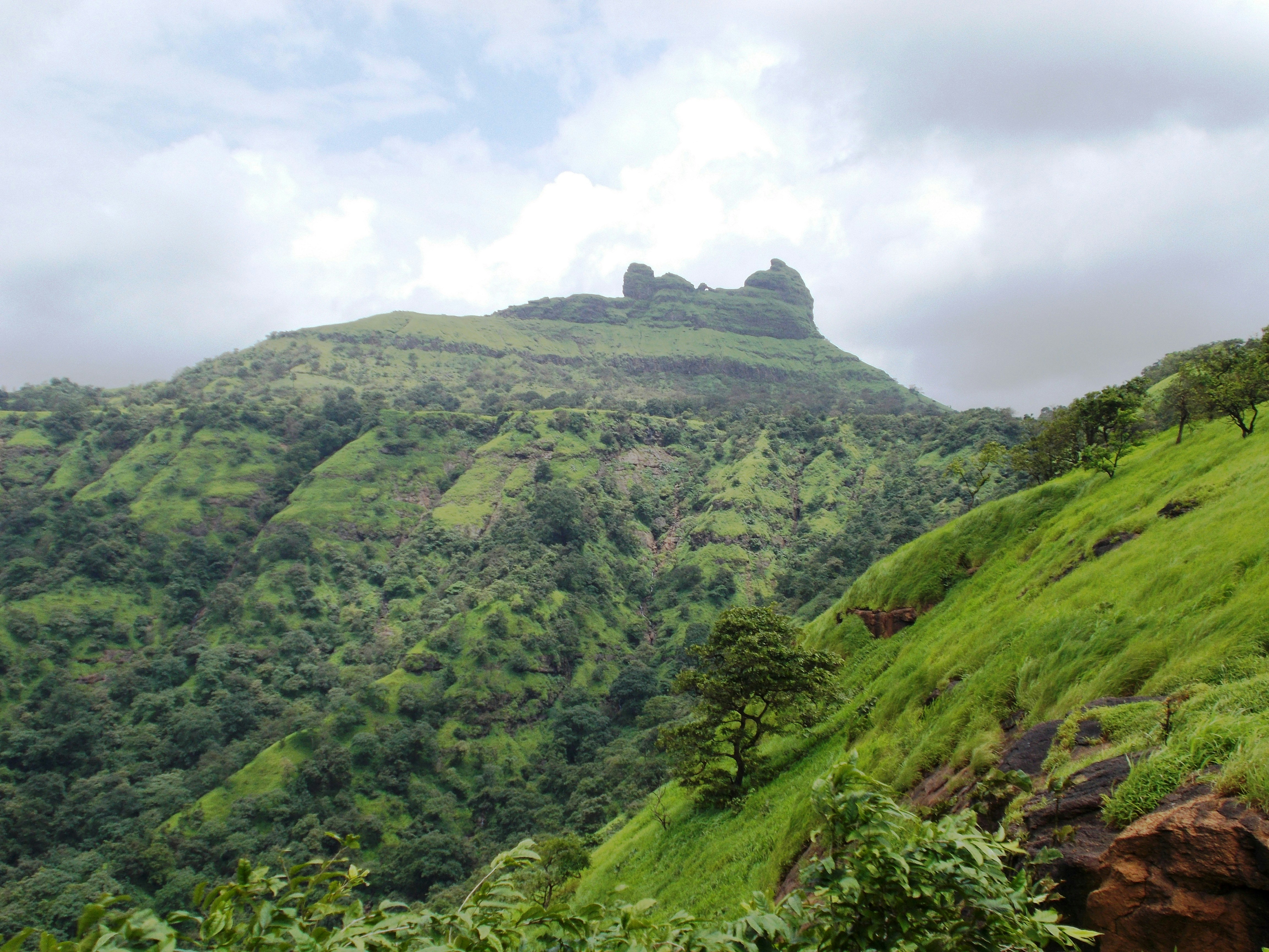 Roll of Green Hills: A Crest with Stone Outcrop