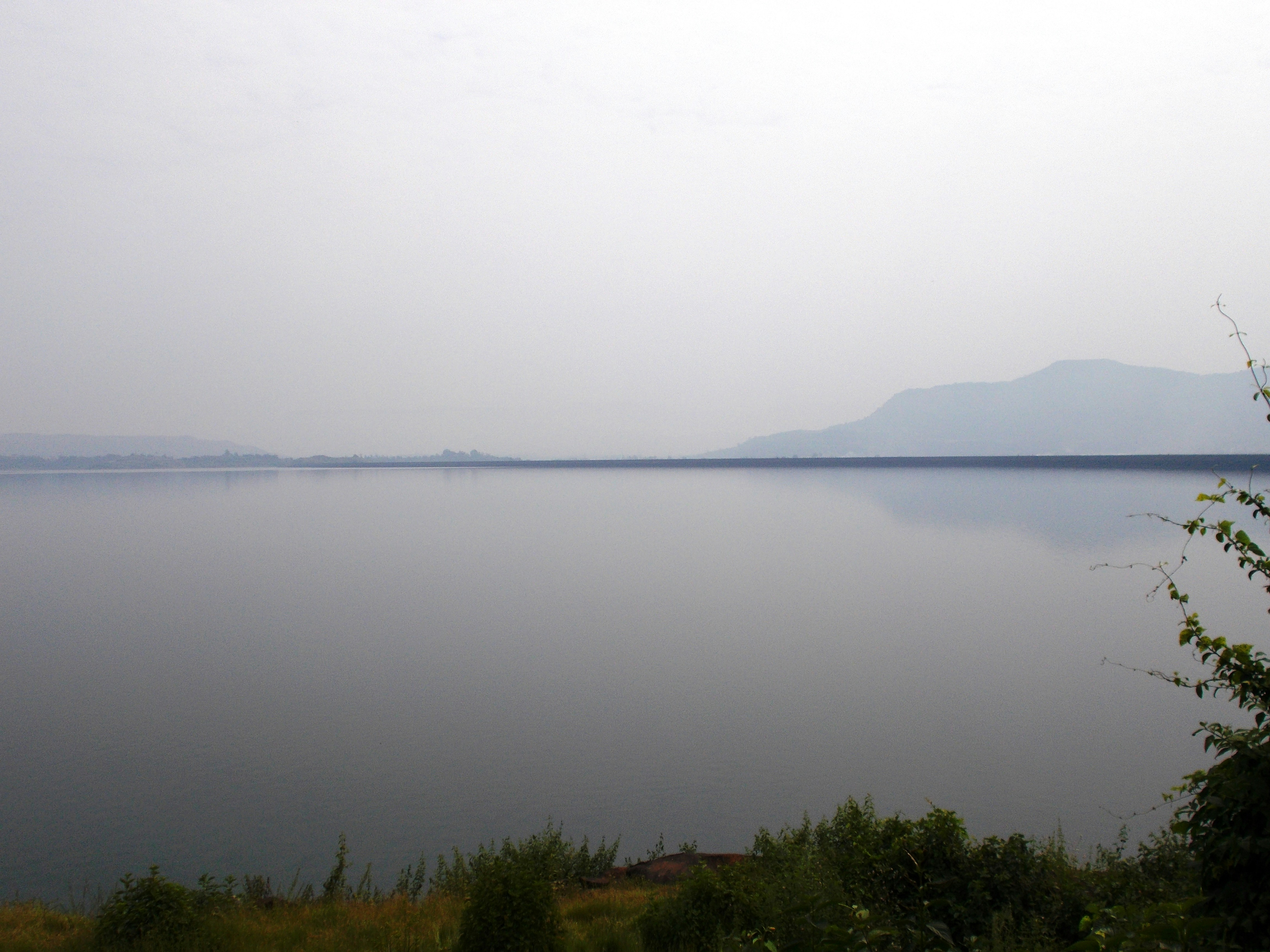 Calm lake stretching to the horizon with faint mountains in the distance; foreground vegetation and shoreline give depth, conveying a tranquil landscape.