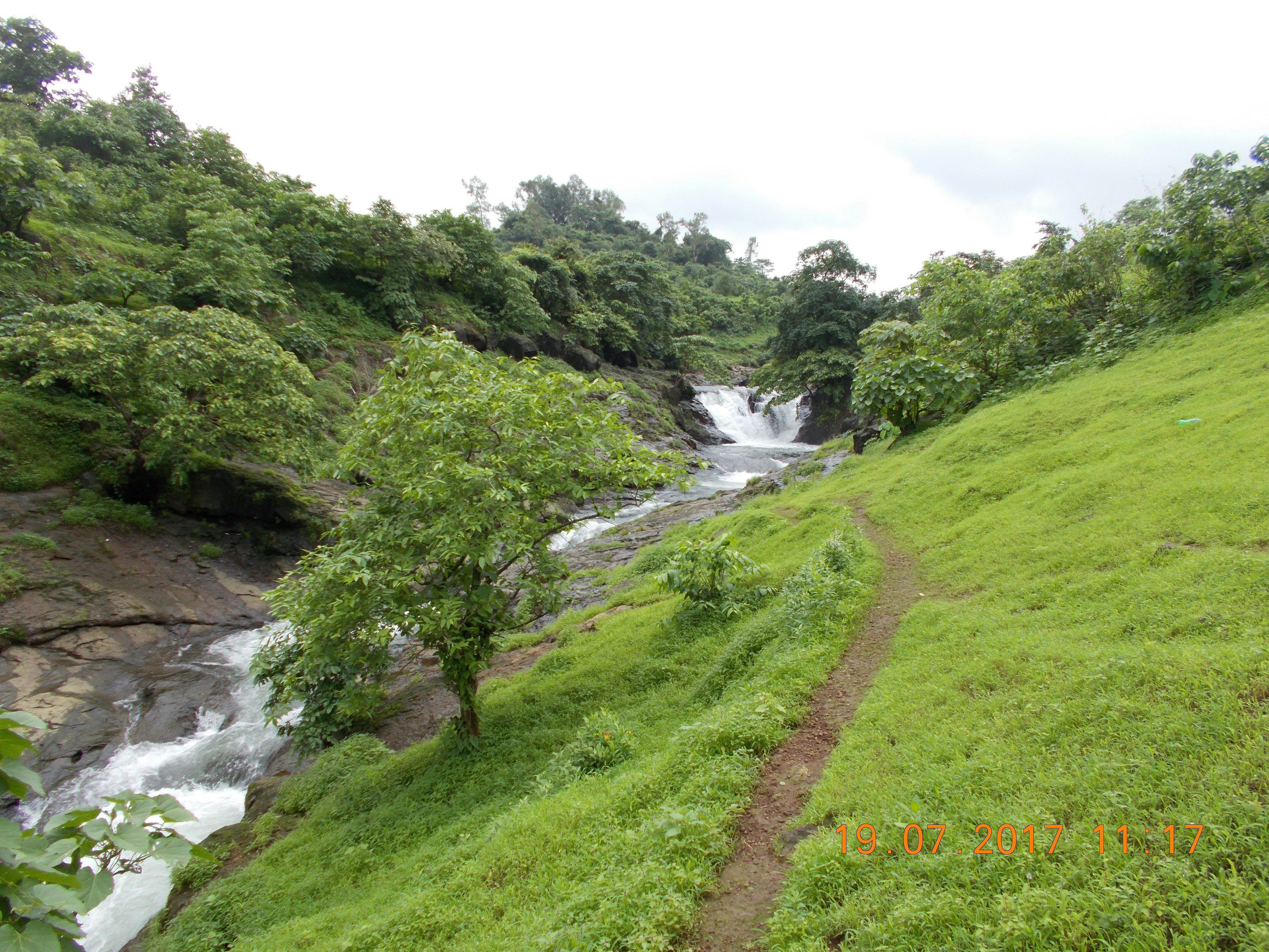 Lush green hillside with a dirt trail winding toward a small cascade and rushing stream, framed by trees along a rocky brook.