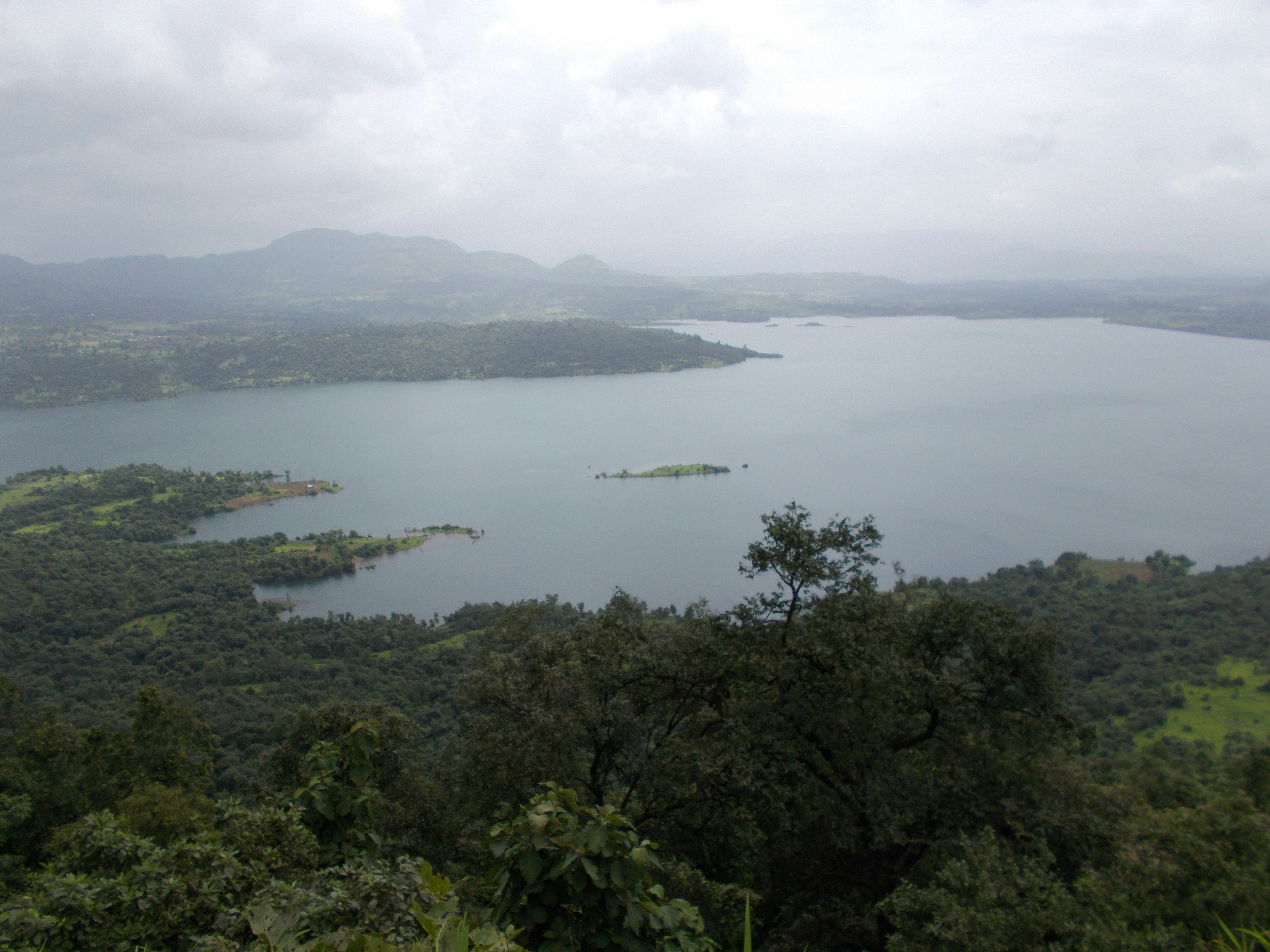 Mist over a Serene Lake: A Quiet Vista from the Hillside