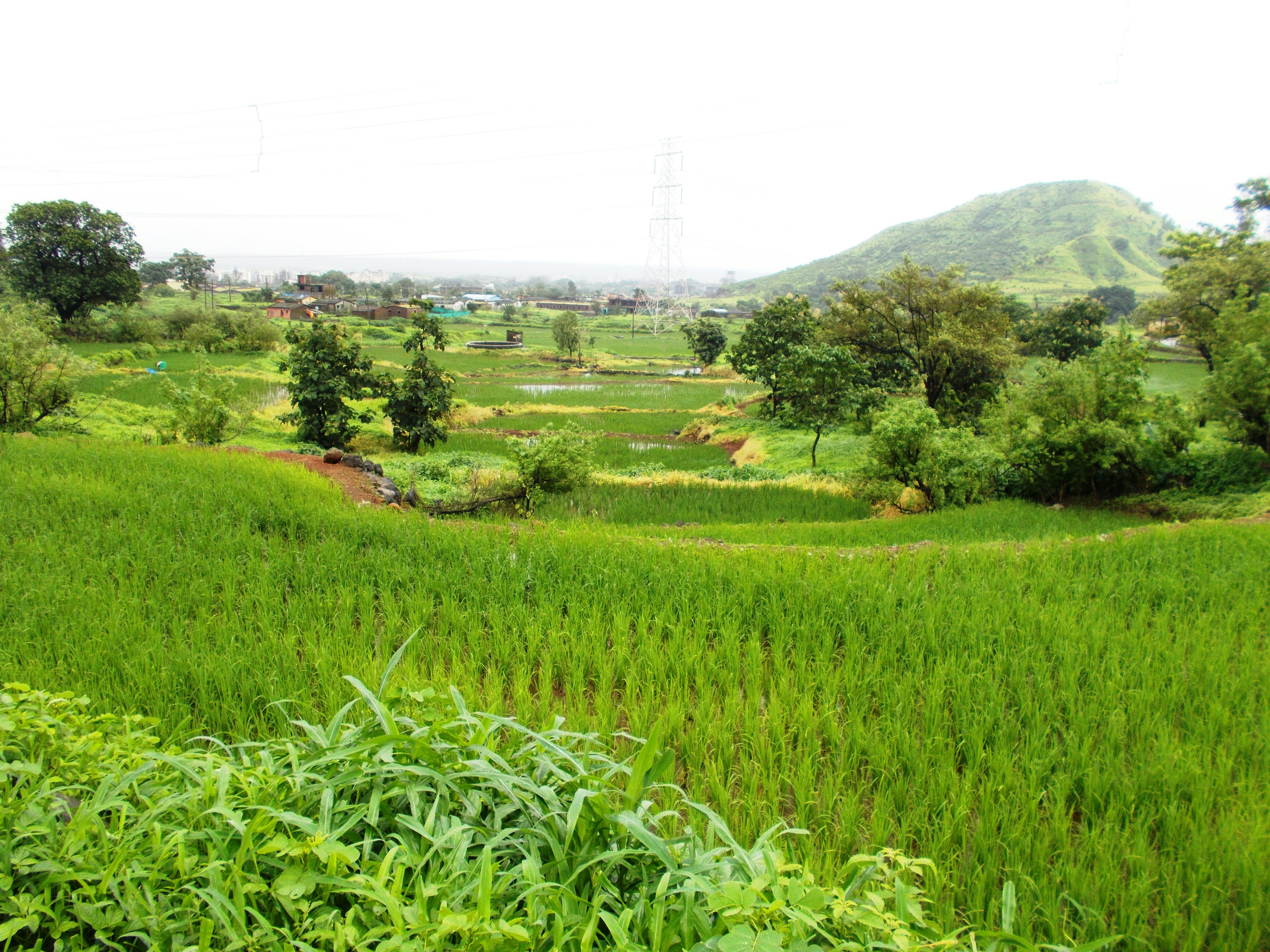 Green Terrace Overlook at Distant Hills