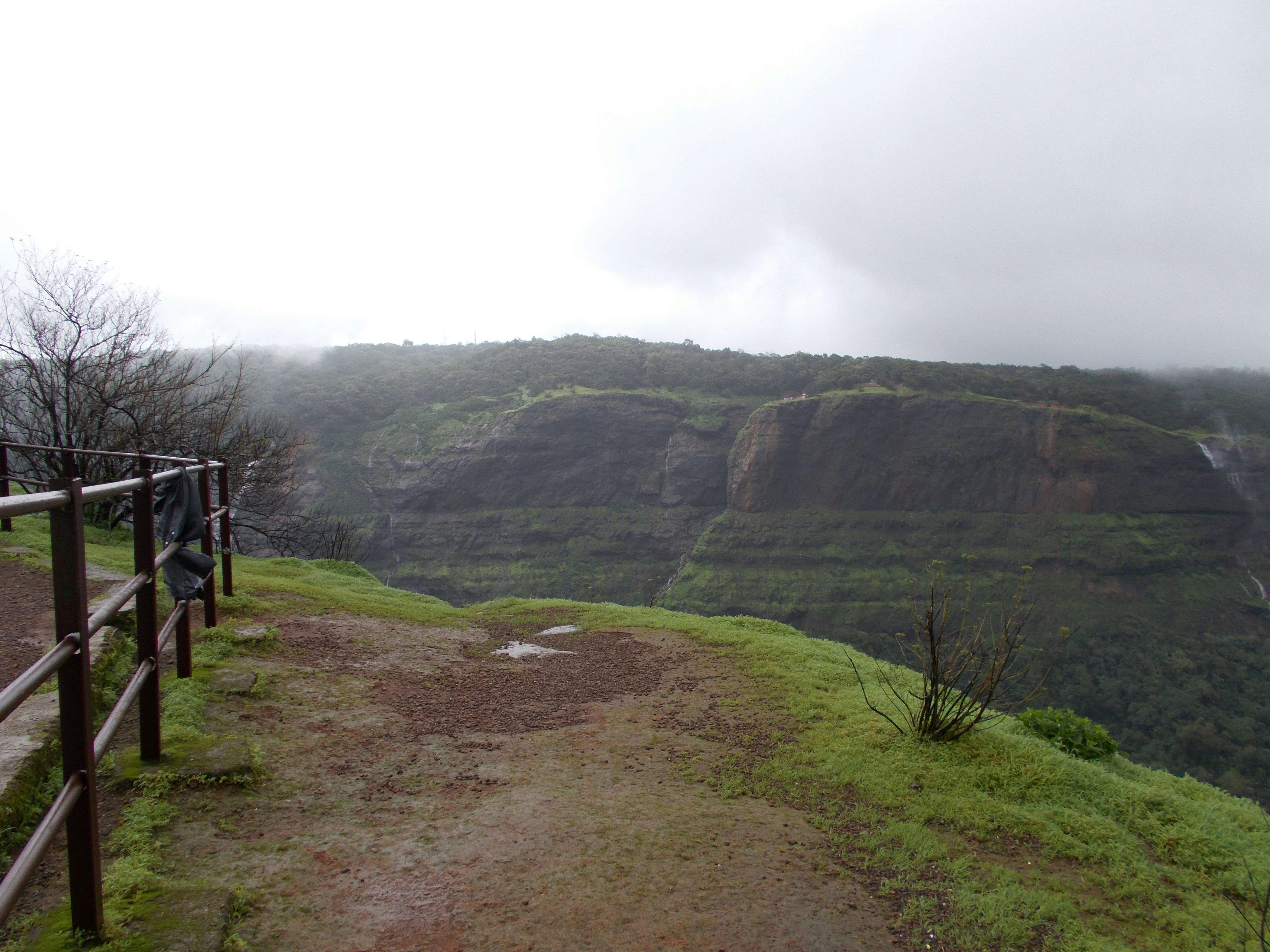 Edge of the Gorge: Misty vista over emerald cliffs