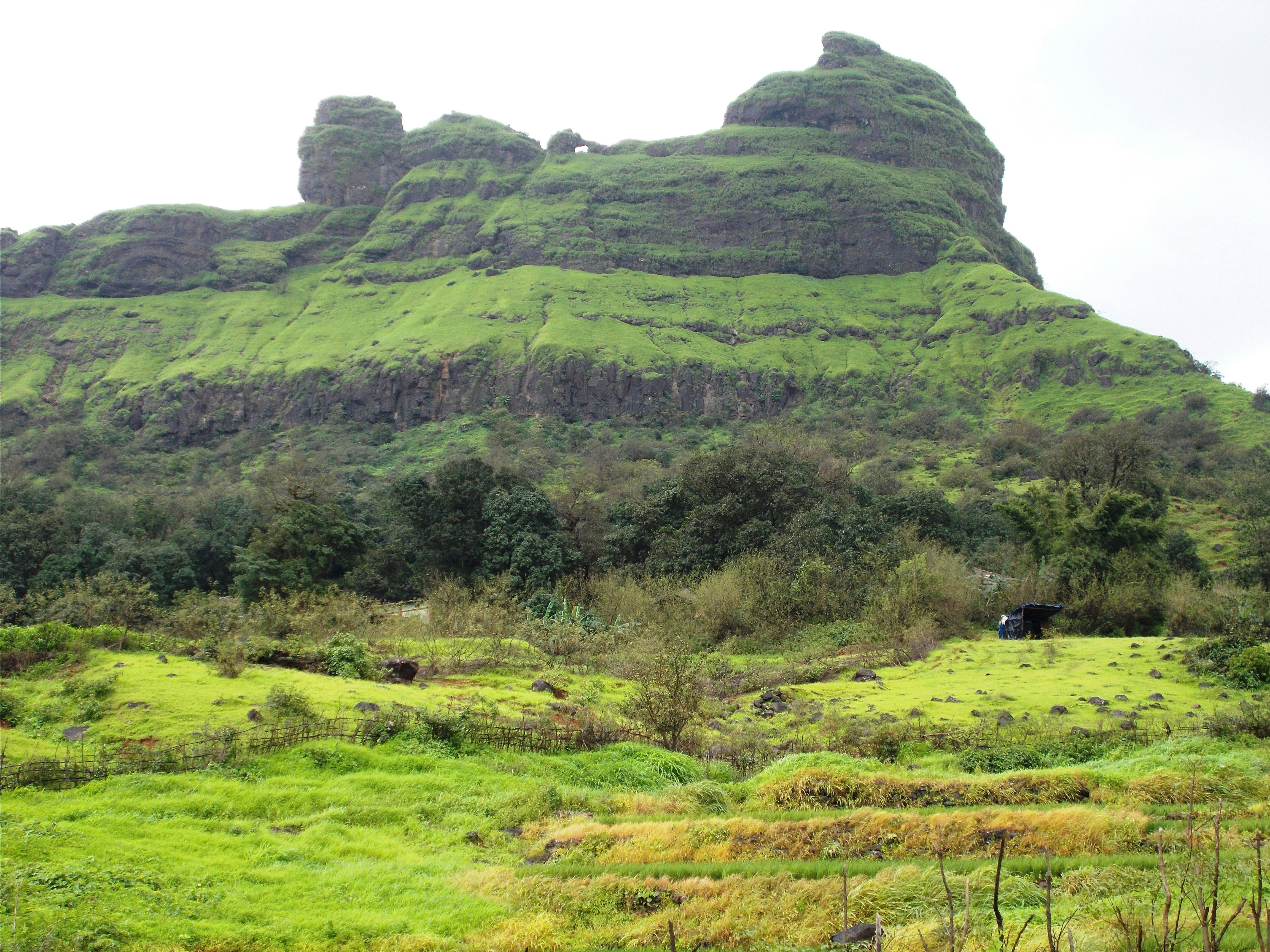 Verdant Basalt Ridge Rising Over Open Moor