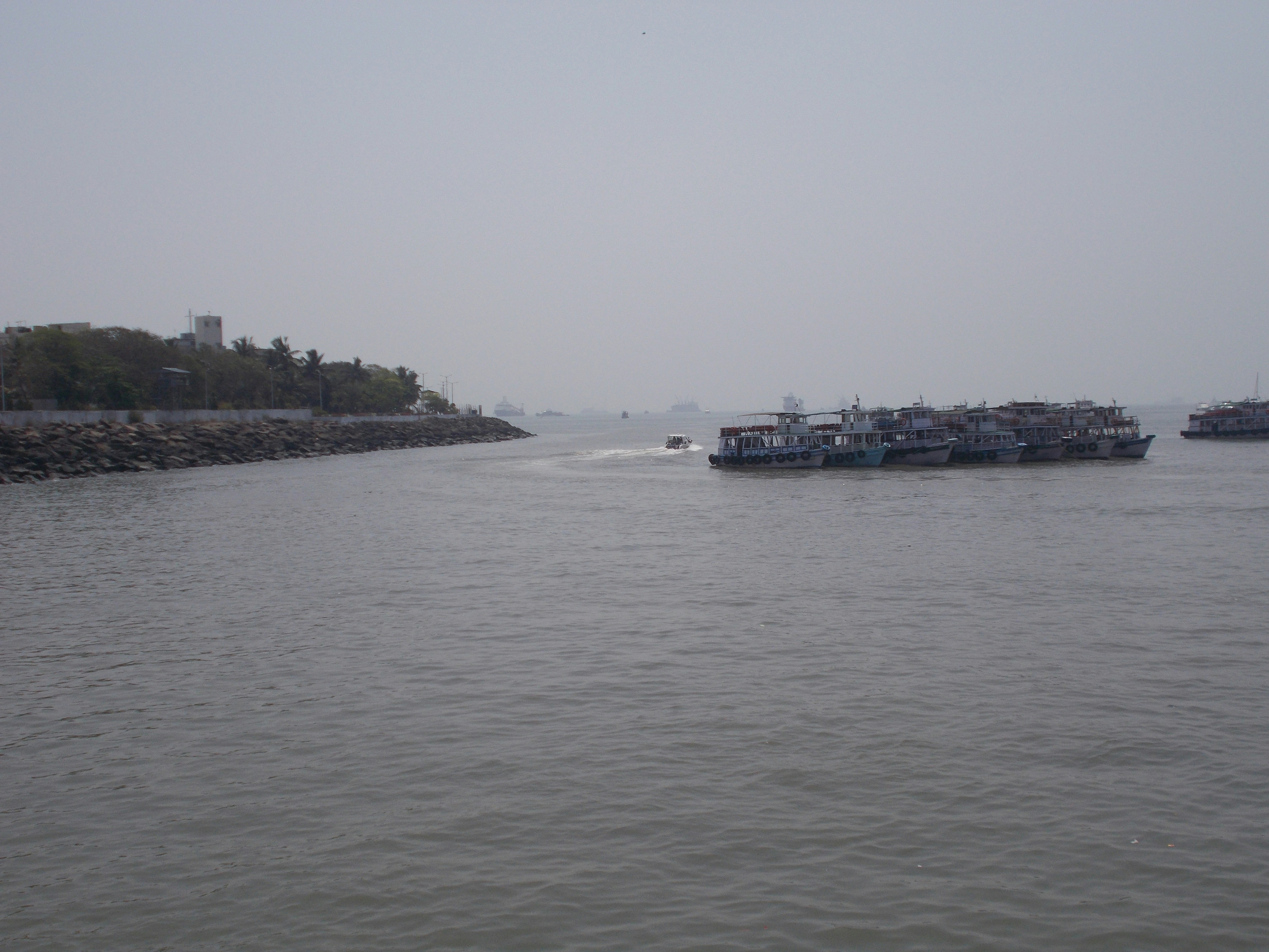 Docked ferries at a calm estuary