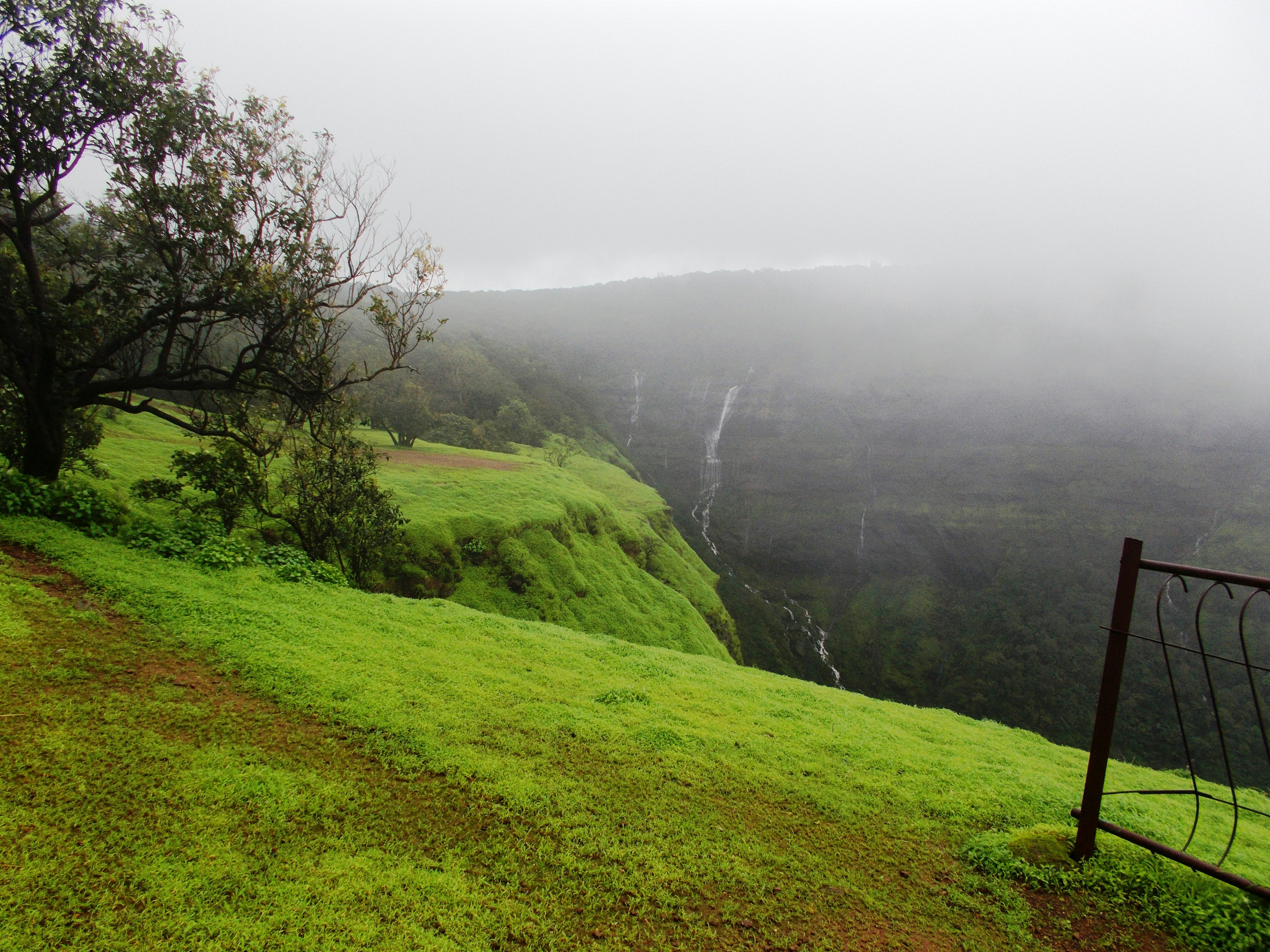 Edge of the Green Cliff: Mist Rolls Over a Lush Valley