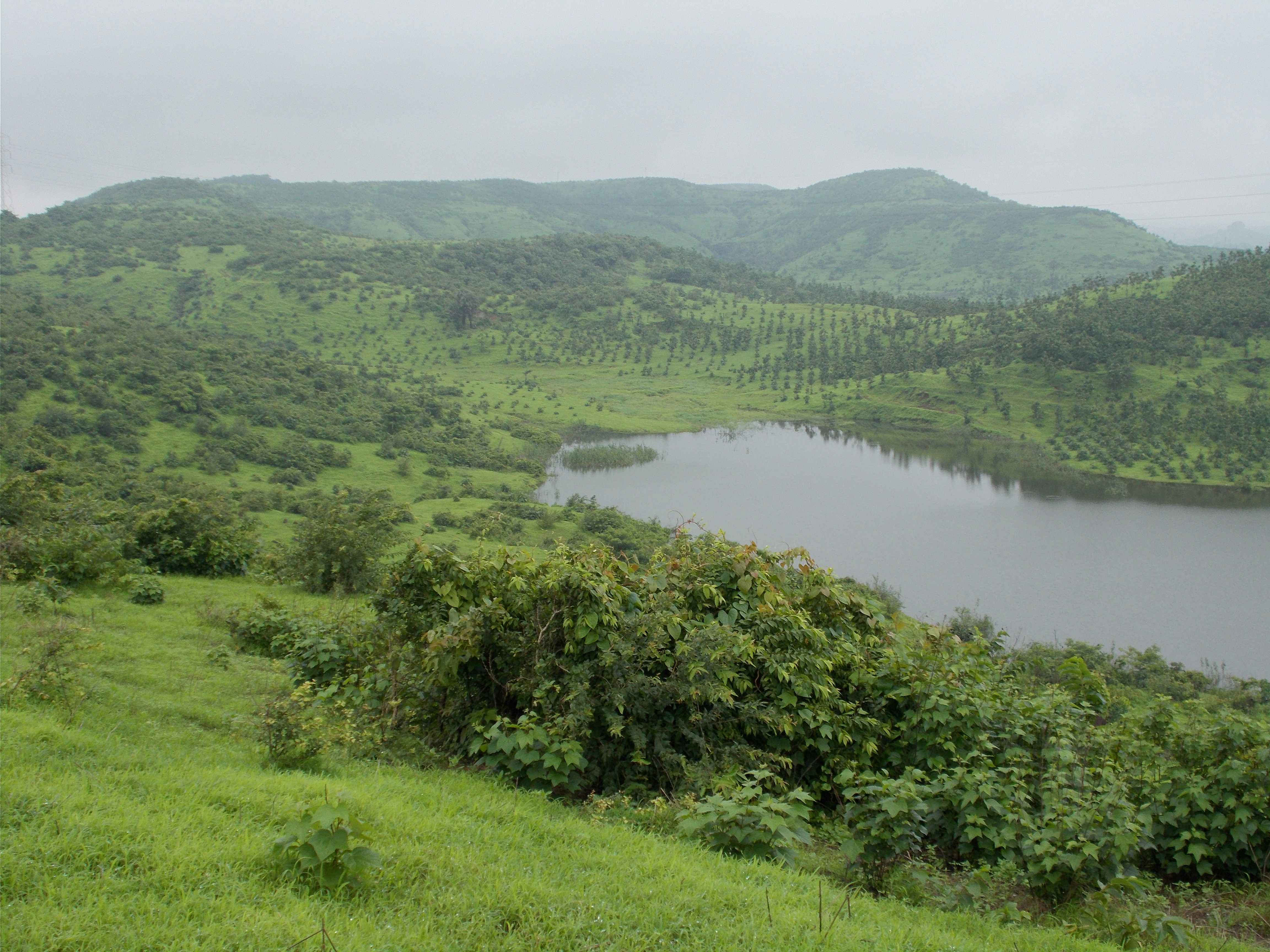 Green hills and a calm lake under a cloudy sky.