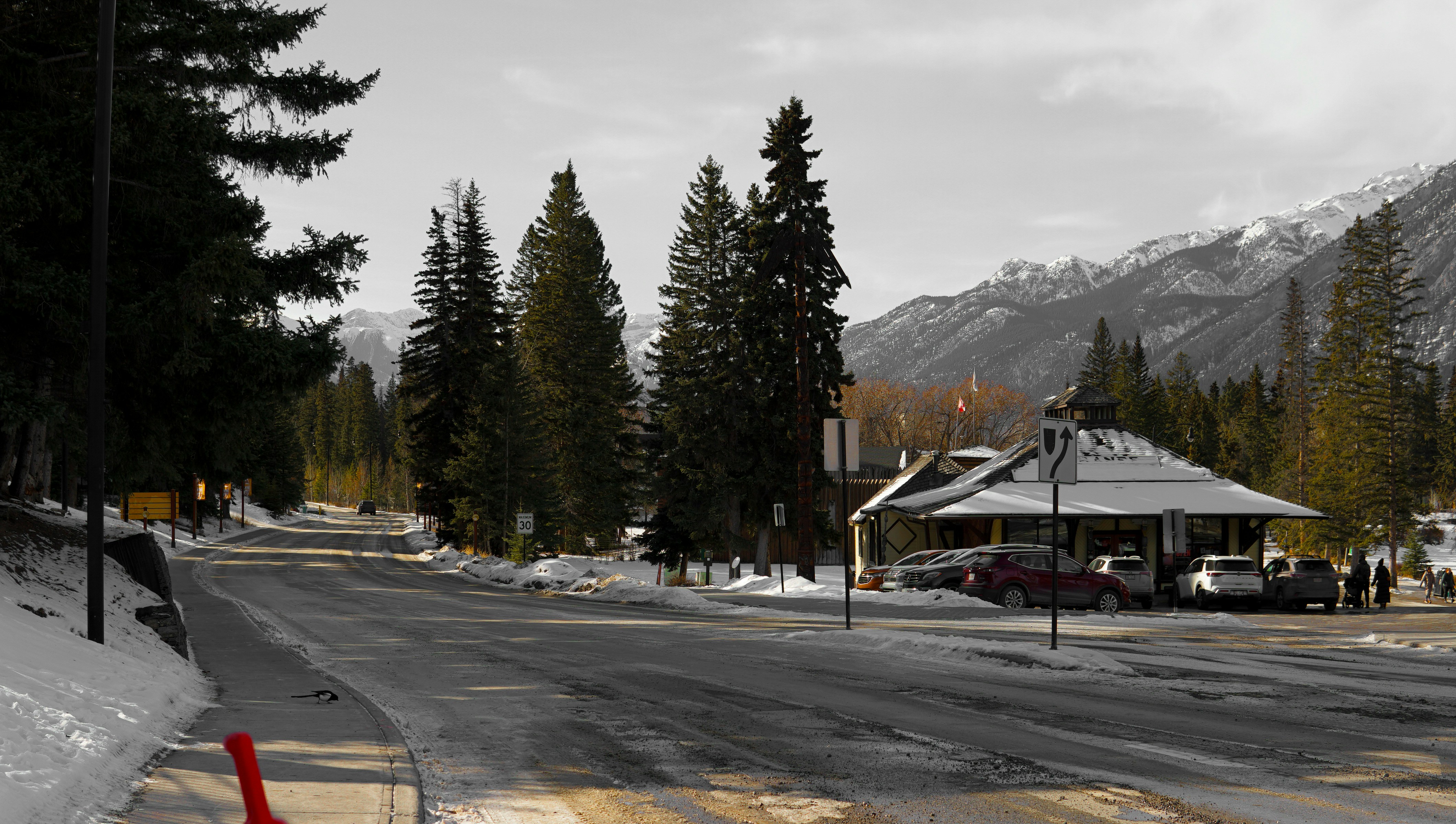 Snow-lit Street Converges toward Mountain Pines
