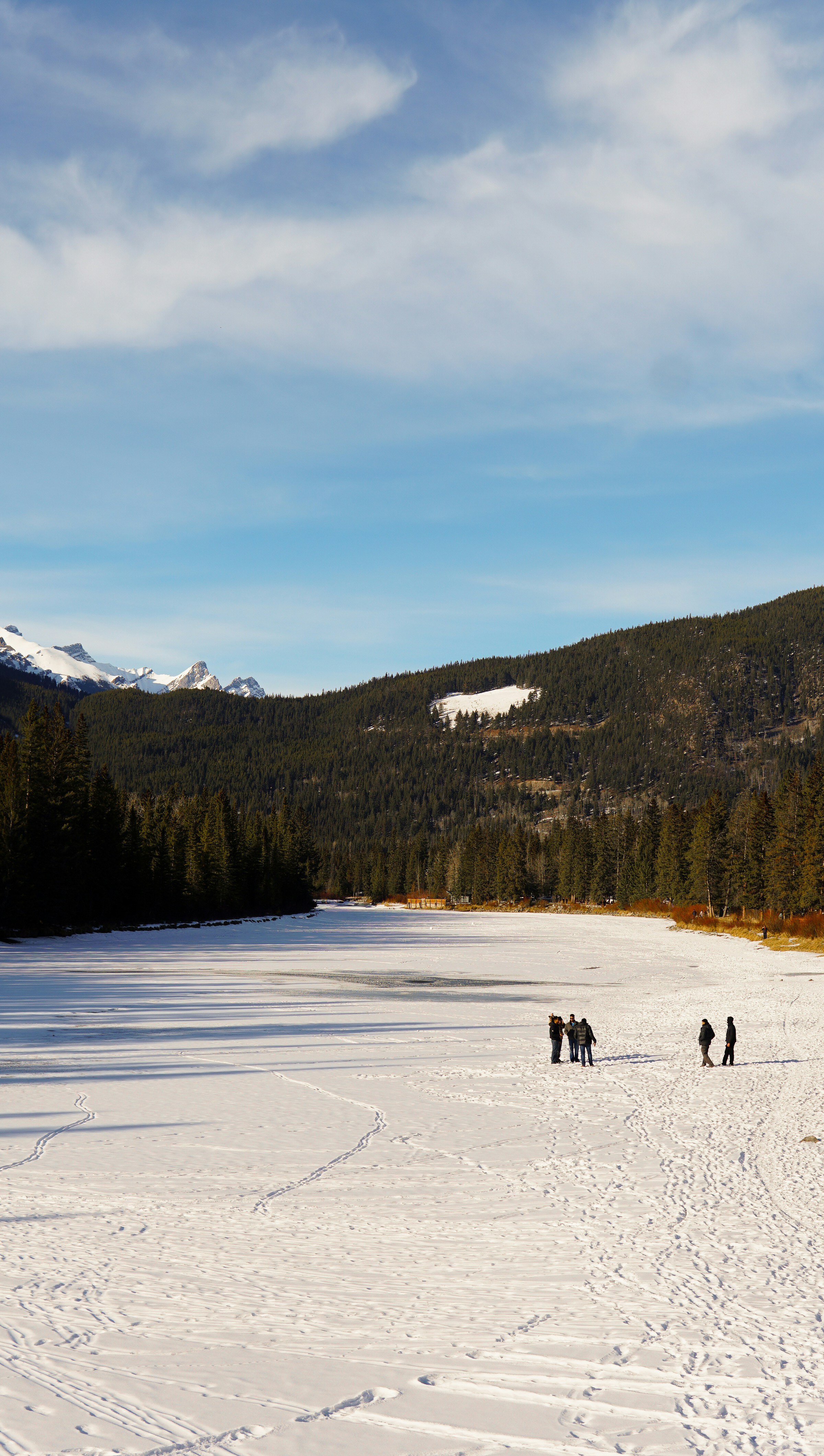 Snowbound Confluence: A Small Group Beneath the Pine Ridge