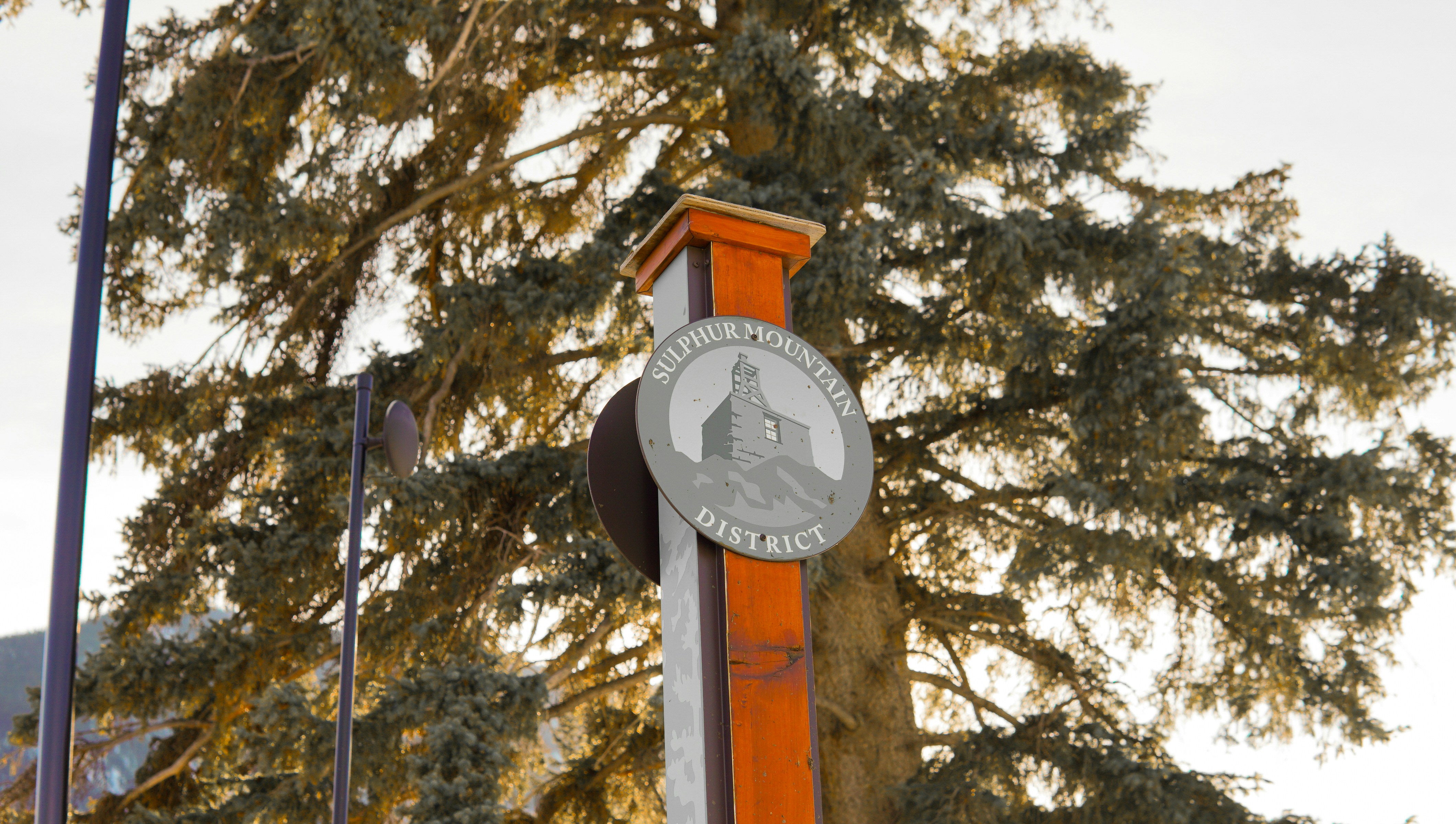 Circular Emblem on a Tower: City Substructure Amid Pines
