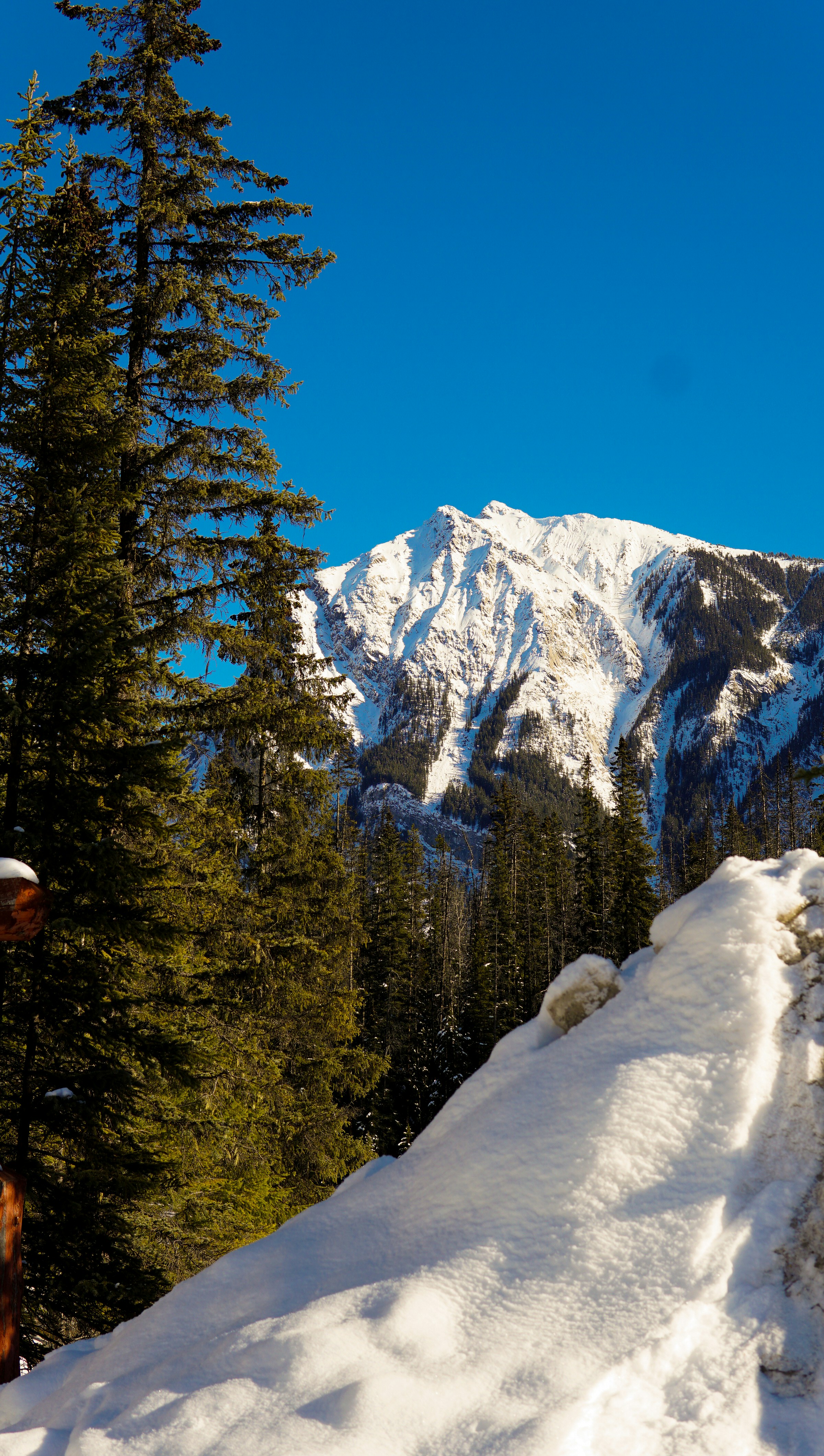 Snow-Scaled Peaks Beneath a Cerulean Sky