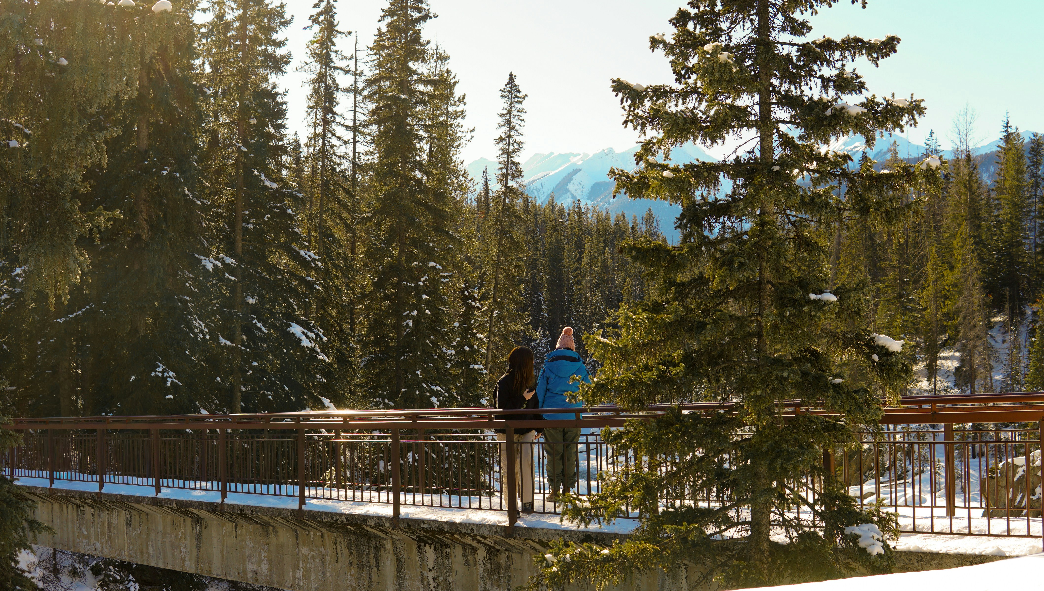 Snowy overlook: two hikers framed by pines and distant mountains