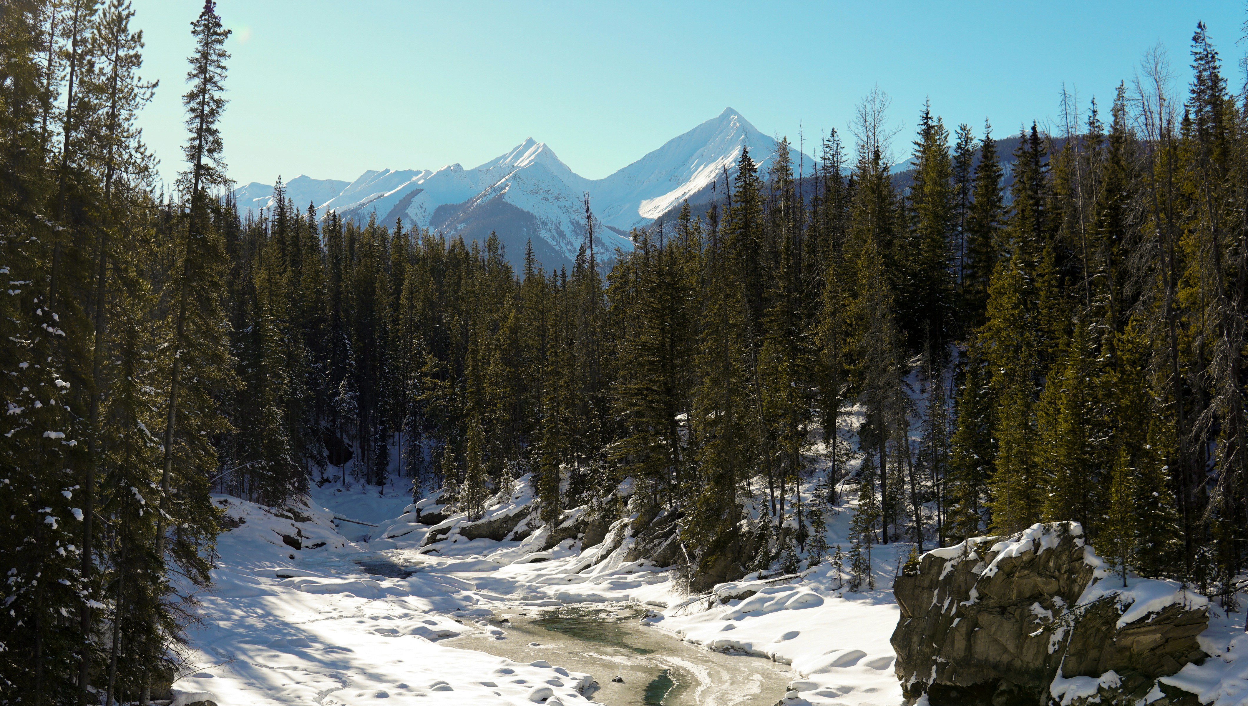 Snow Valley Through Pine Lined Gorge Toward Distant Peaks