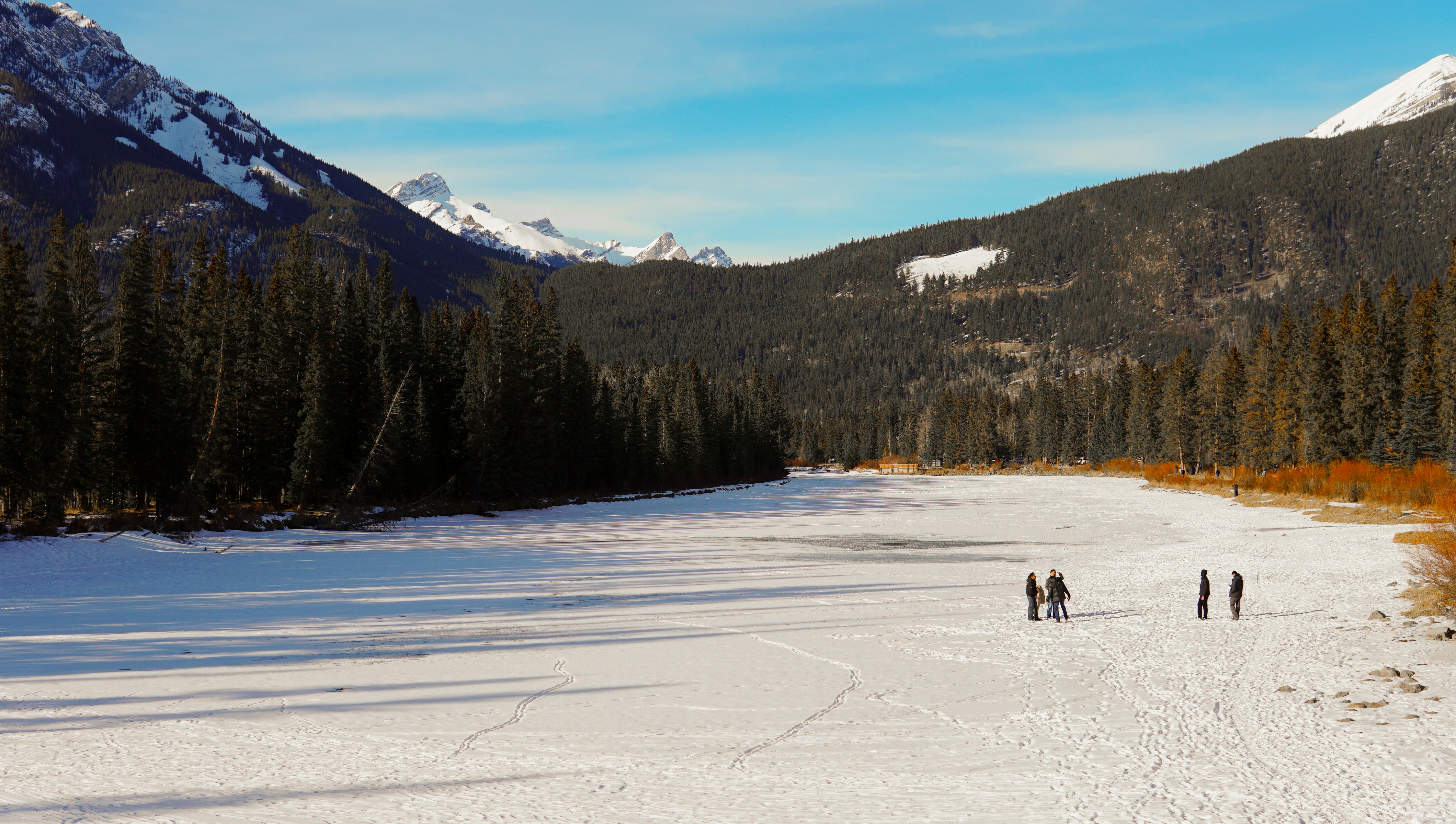 Snowfield Rendezvous: A Quiet Trek Across a Mountain Corridor