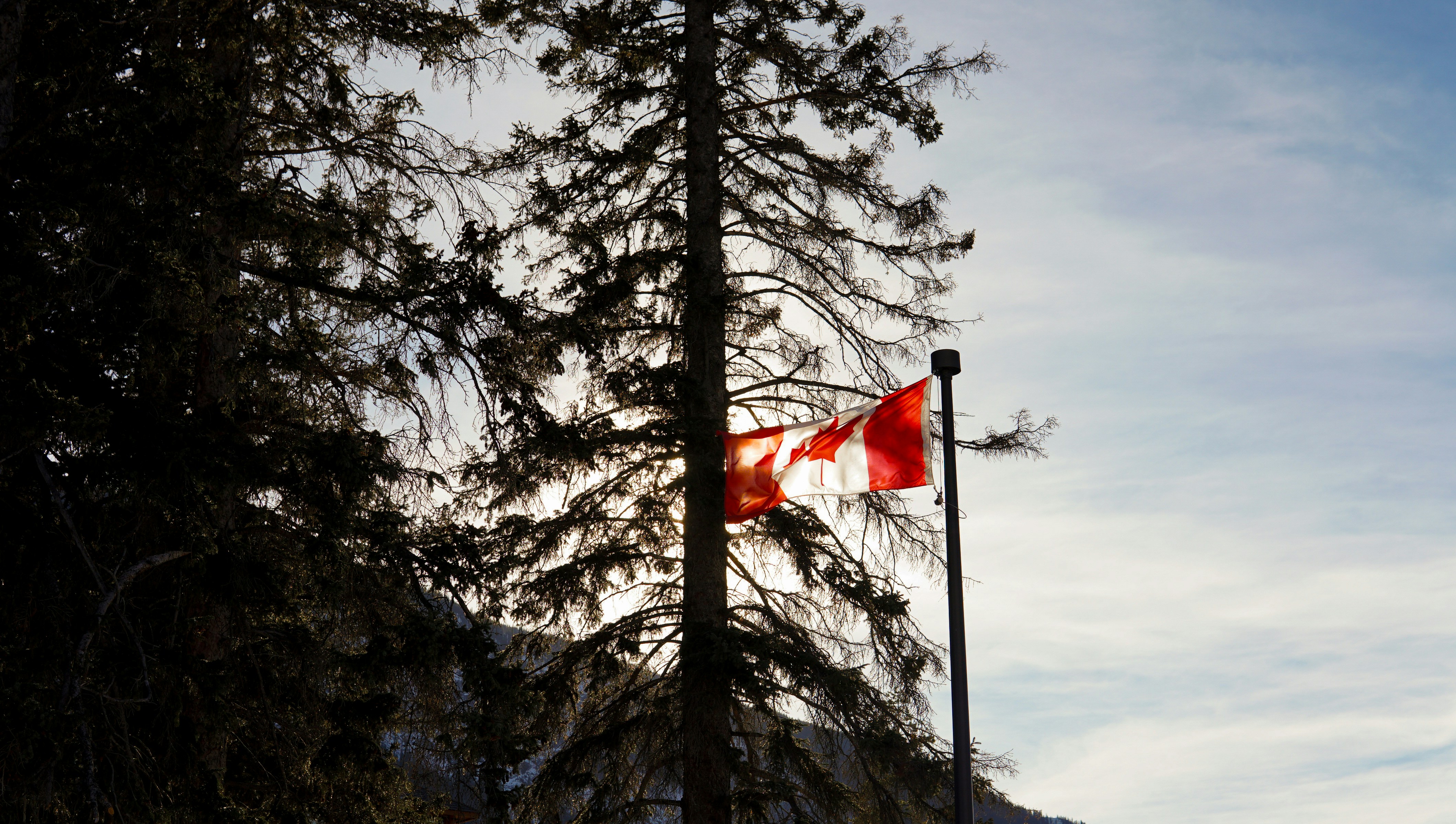 Flag in the Wind: A Lone Canadian Emblem Against Sky