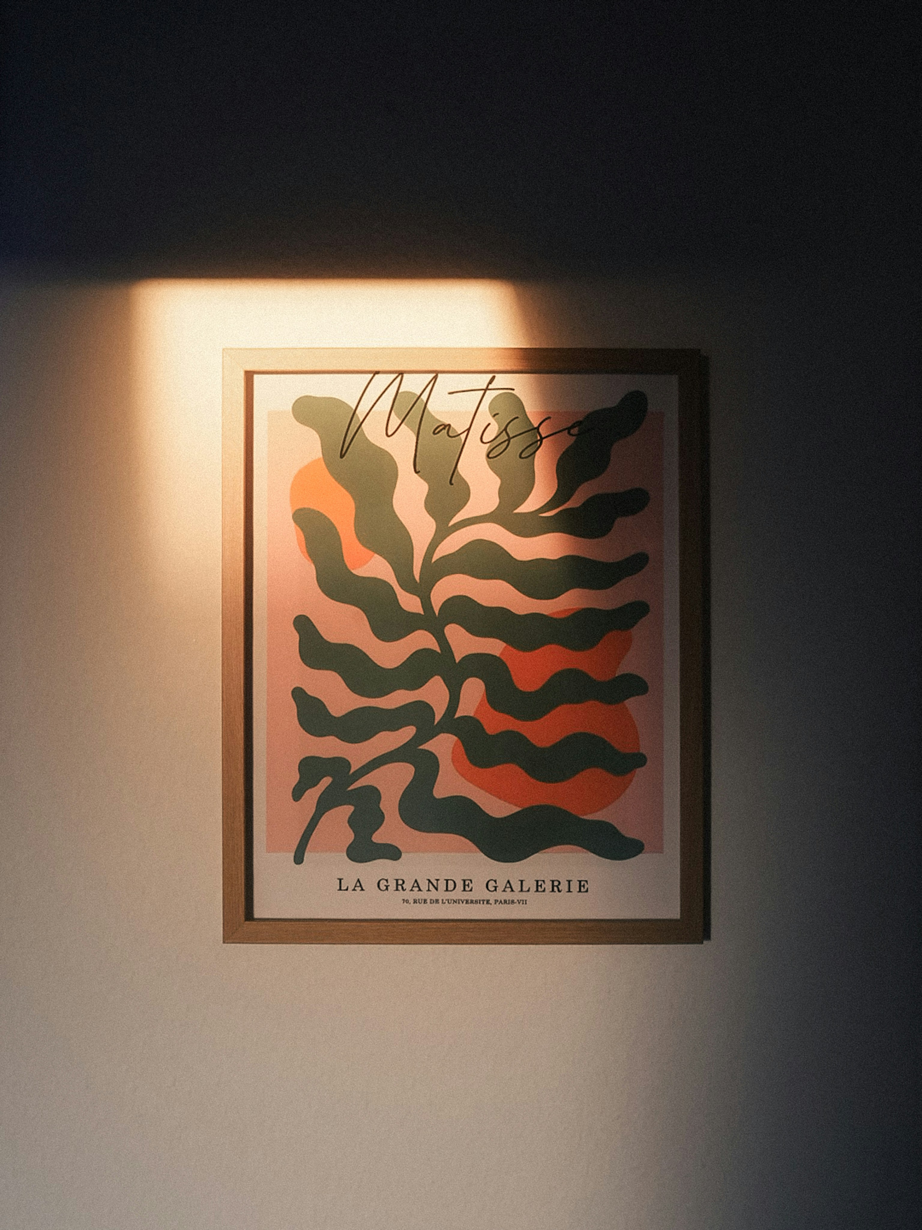 Framed Matisse-inspired Abstract Poster Bathed in Window Light