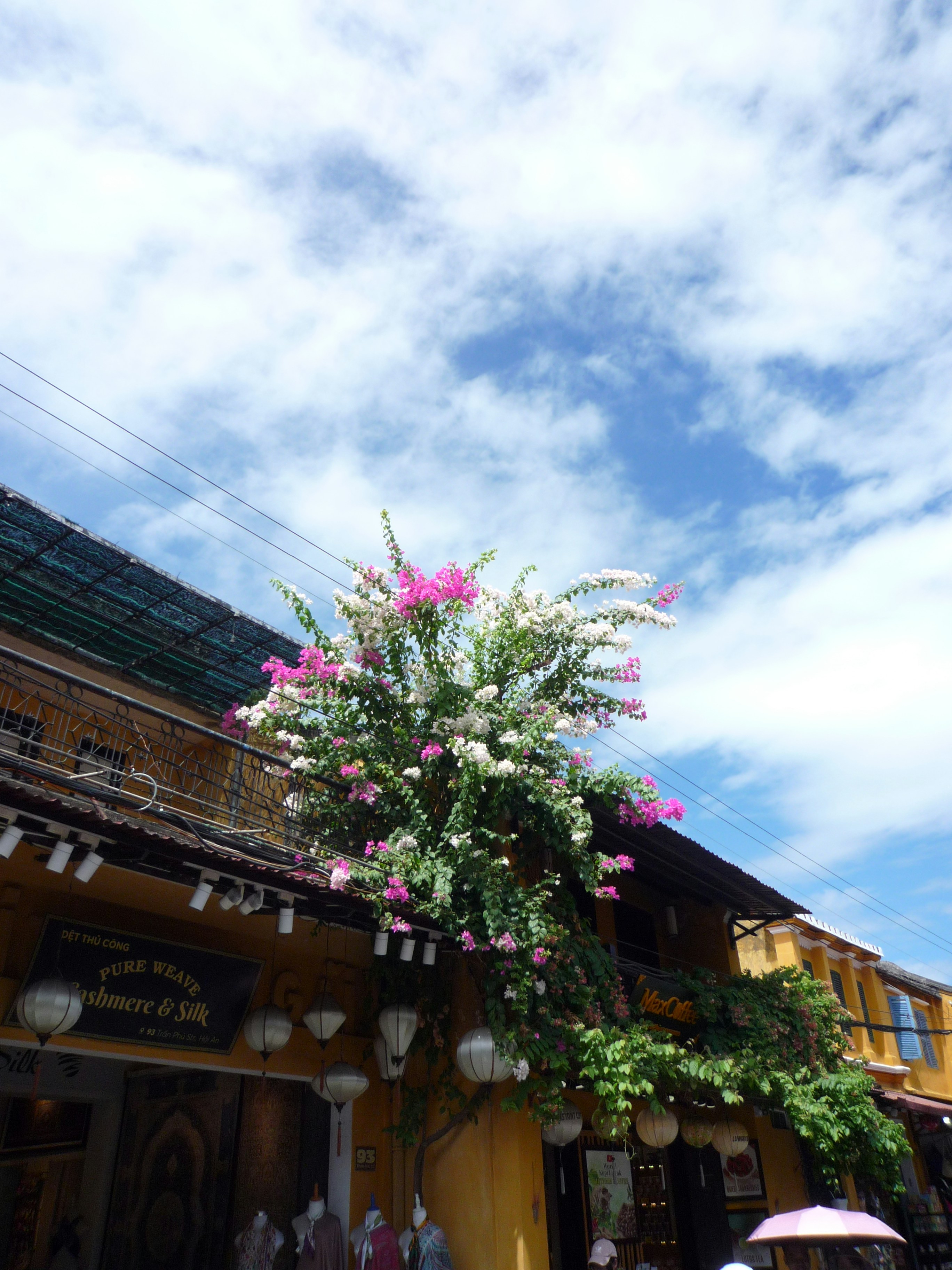 Photo by Jamie Trinh with Panasonic Lumix DMC-FX35