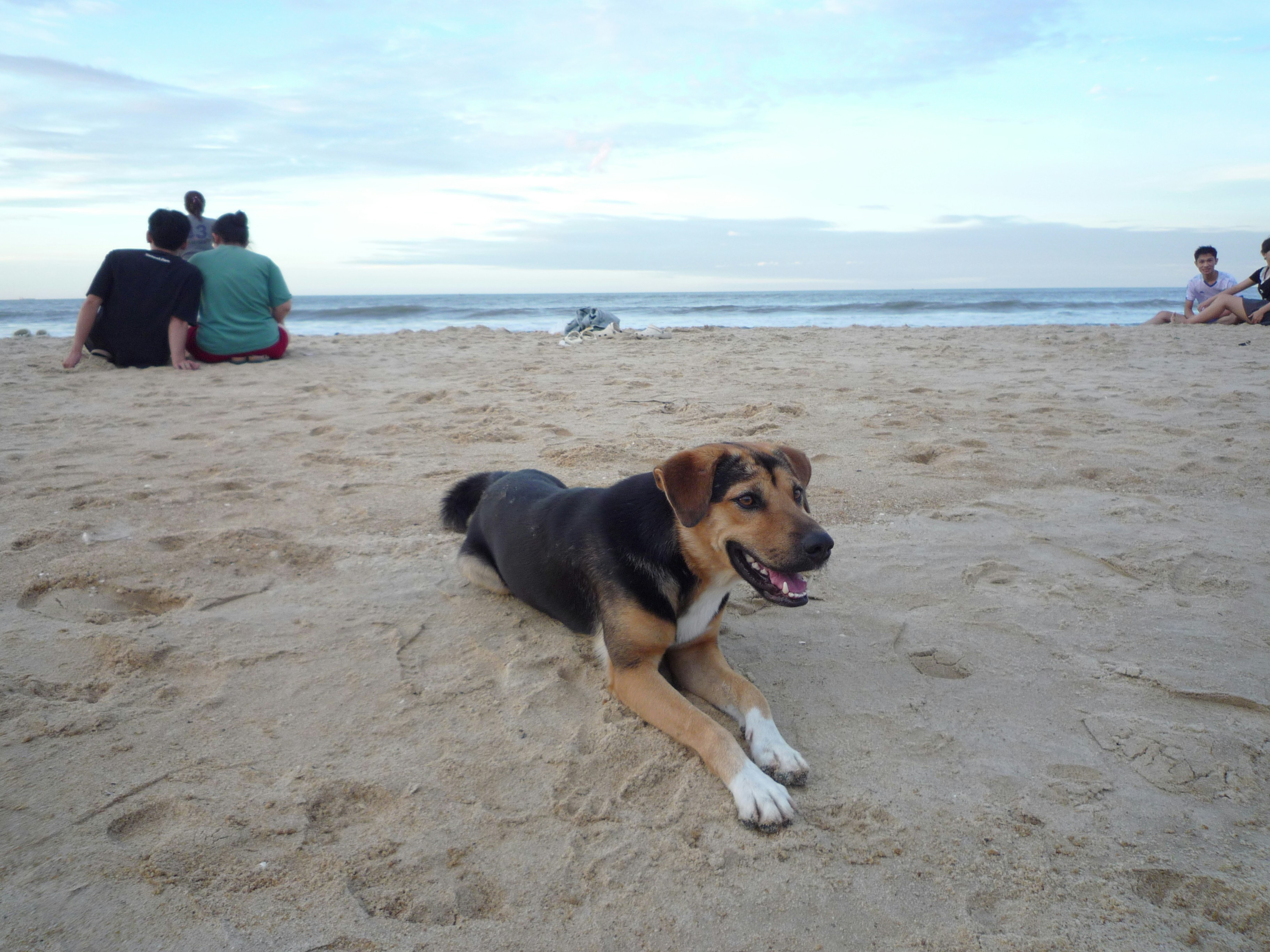 Photo by Jamie Trinh with Panasonic Lumix DMC-FX35