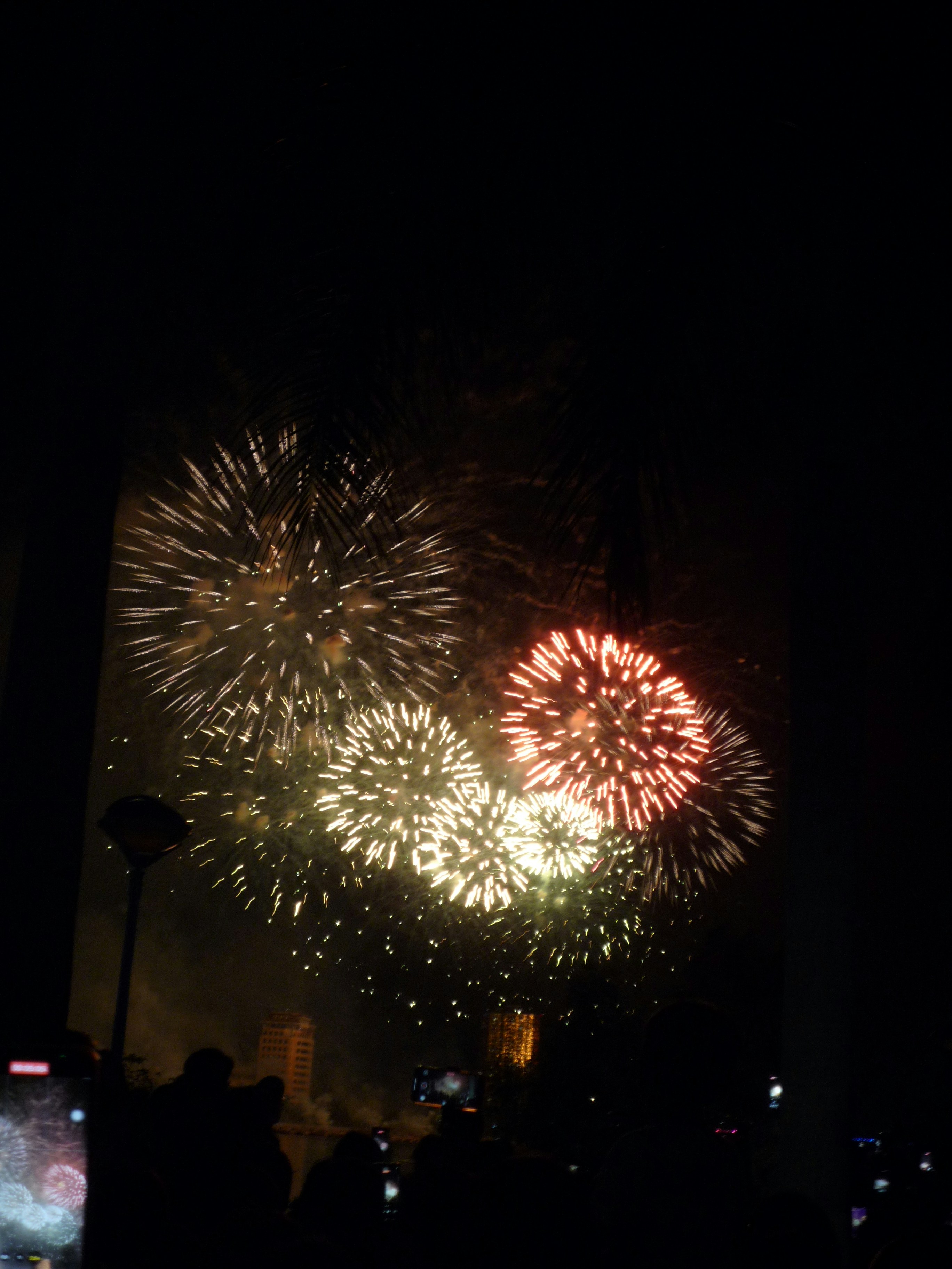 Dark cityscape backdrop with bright fireworks blooming above a silhouetted crowd; handheld phones glimpse the spectacle in a night scene.