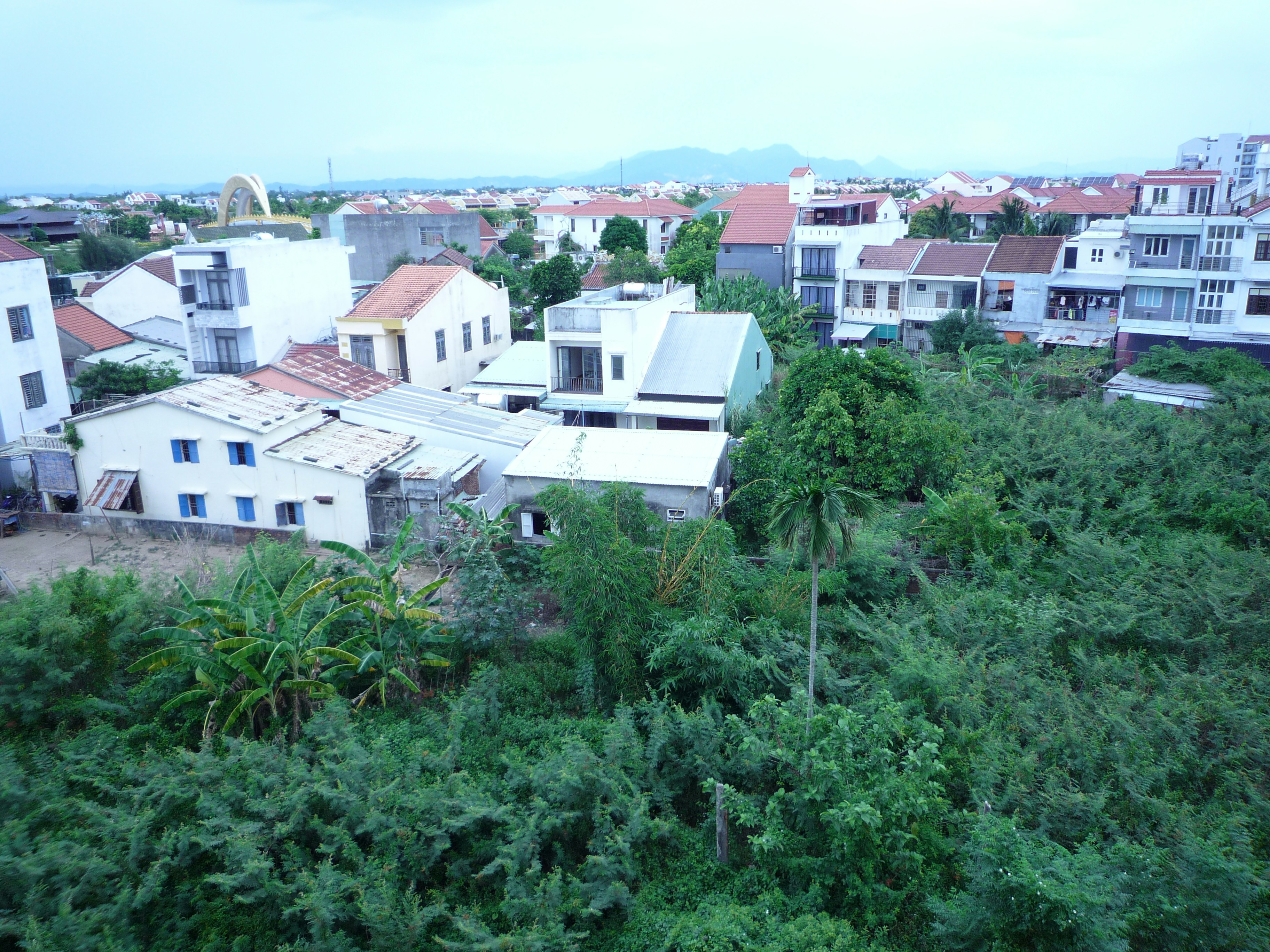 Urban canopy: rooftops and tropical greenery converge beneath a distant skyline