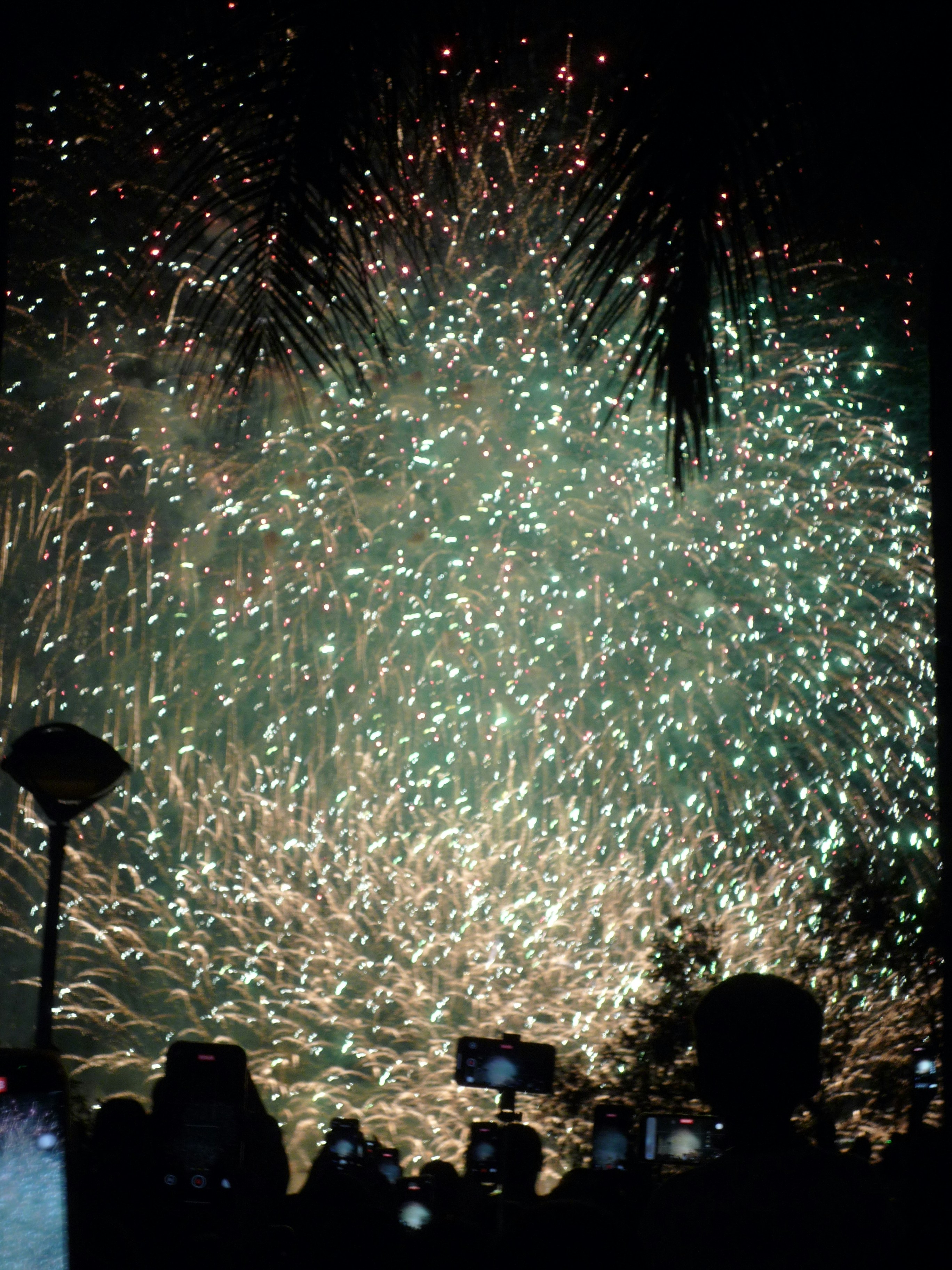 Midnight Spectacle: Fireworks over a Packed Urban Square