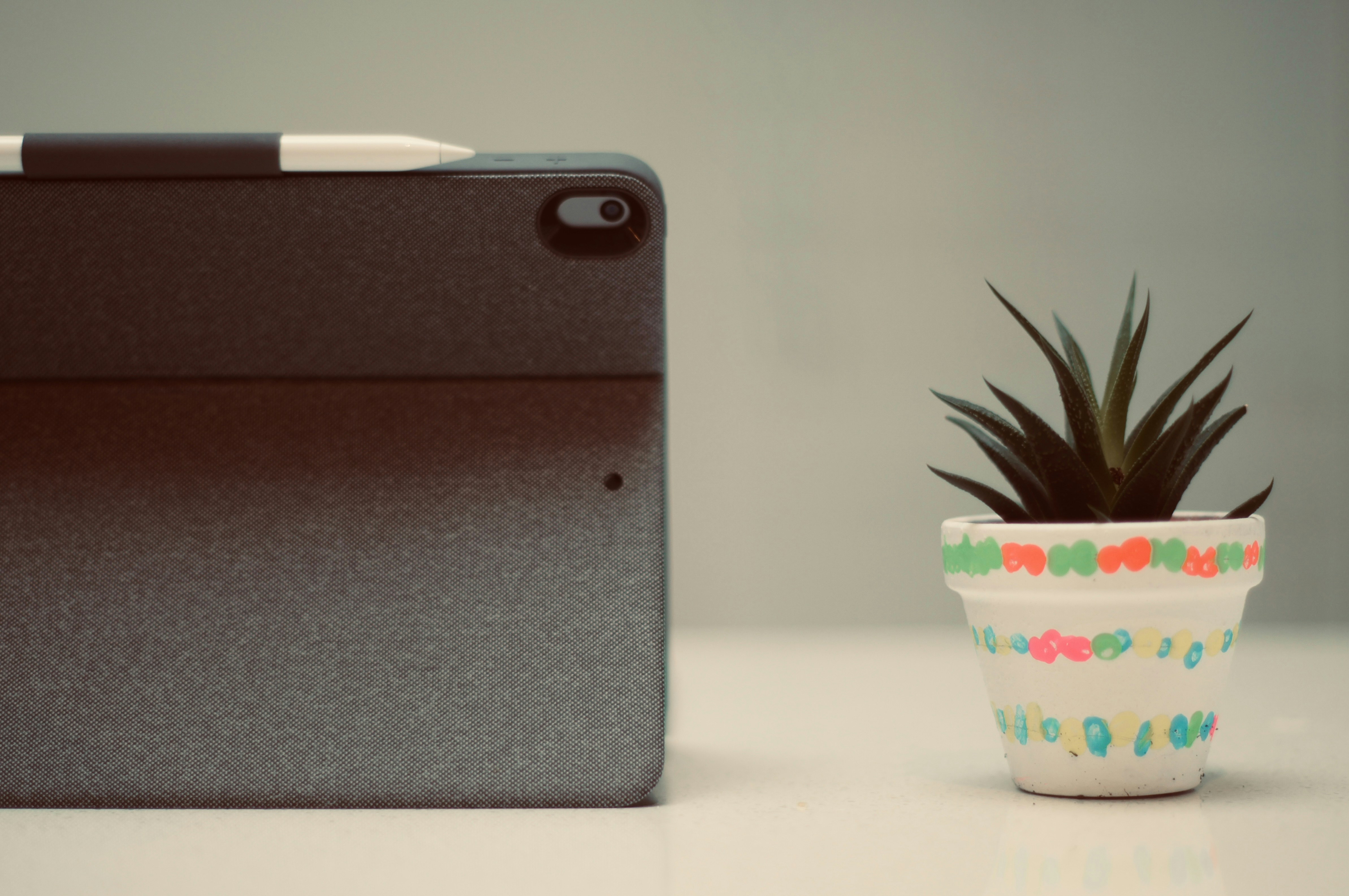 Quiet Corner: A Simplified Desk Scene with a Teacup Plant