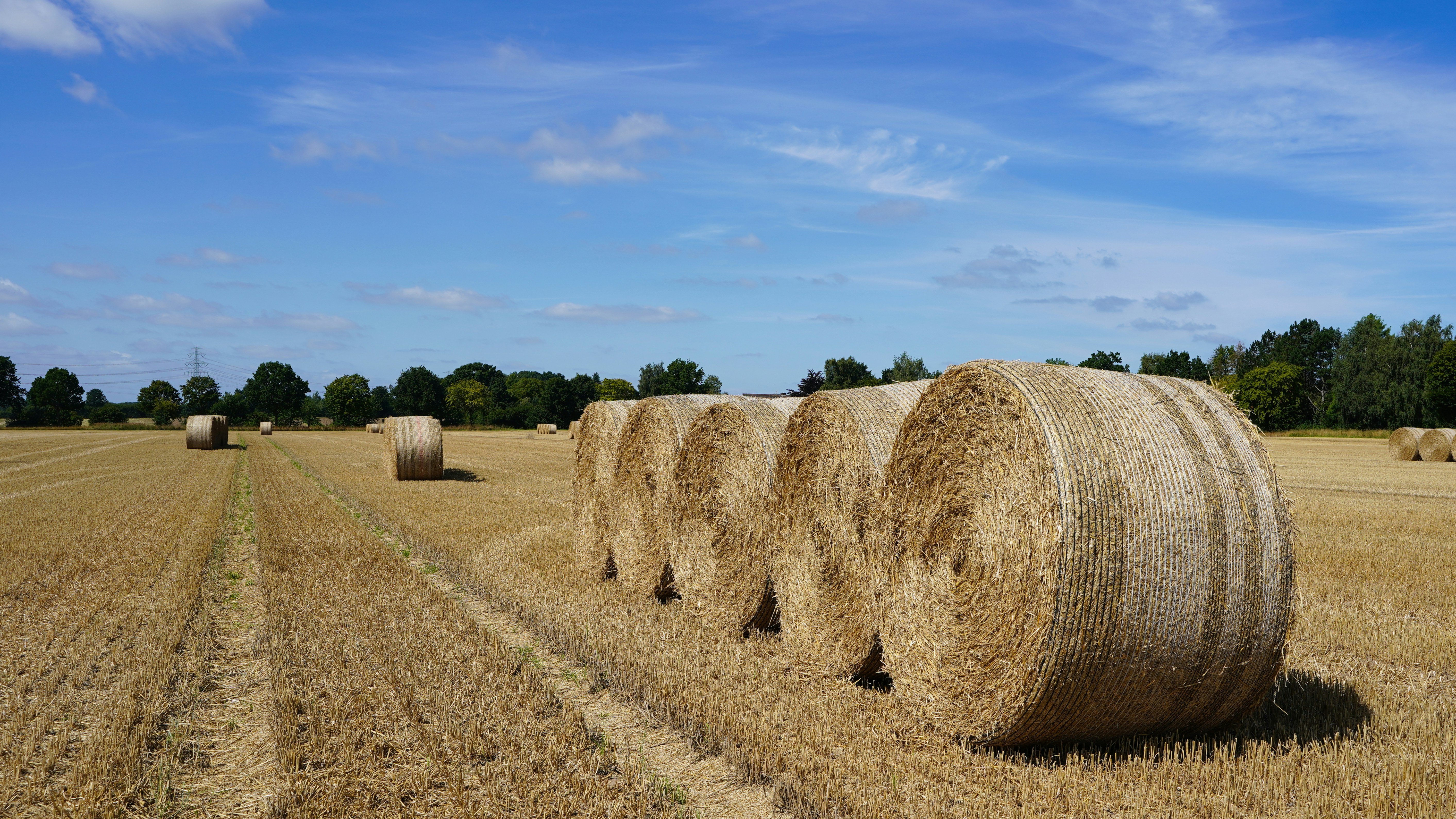 Golden Bales on a Quiet Harvest Field