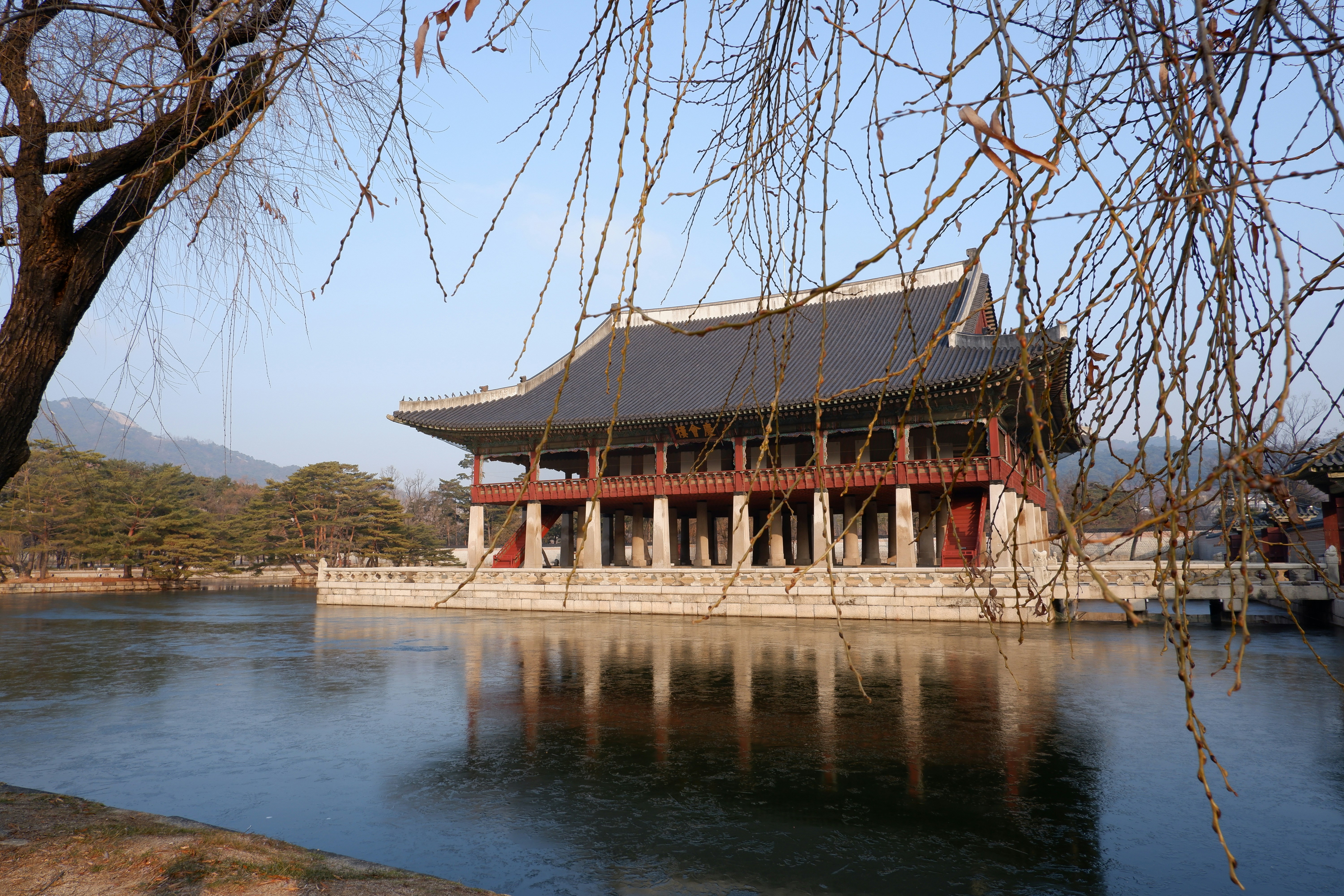 Temple at the Edge: Reflections and Willow Veils over a Tranquil Pond