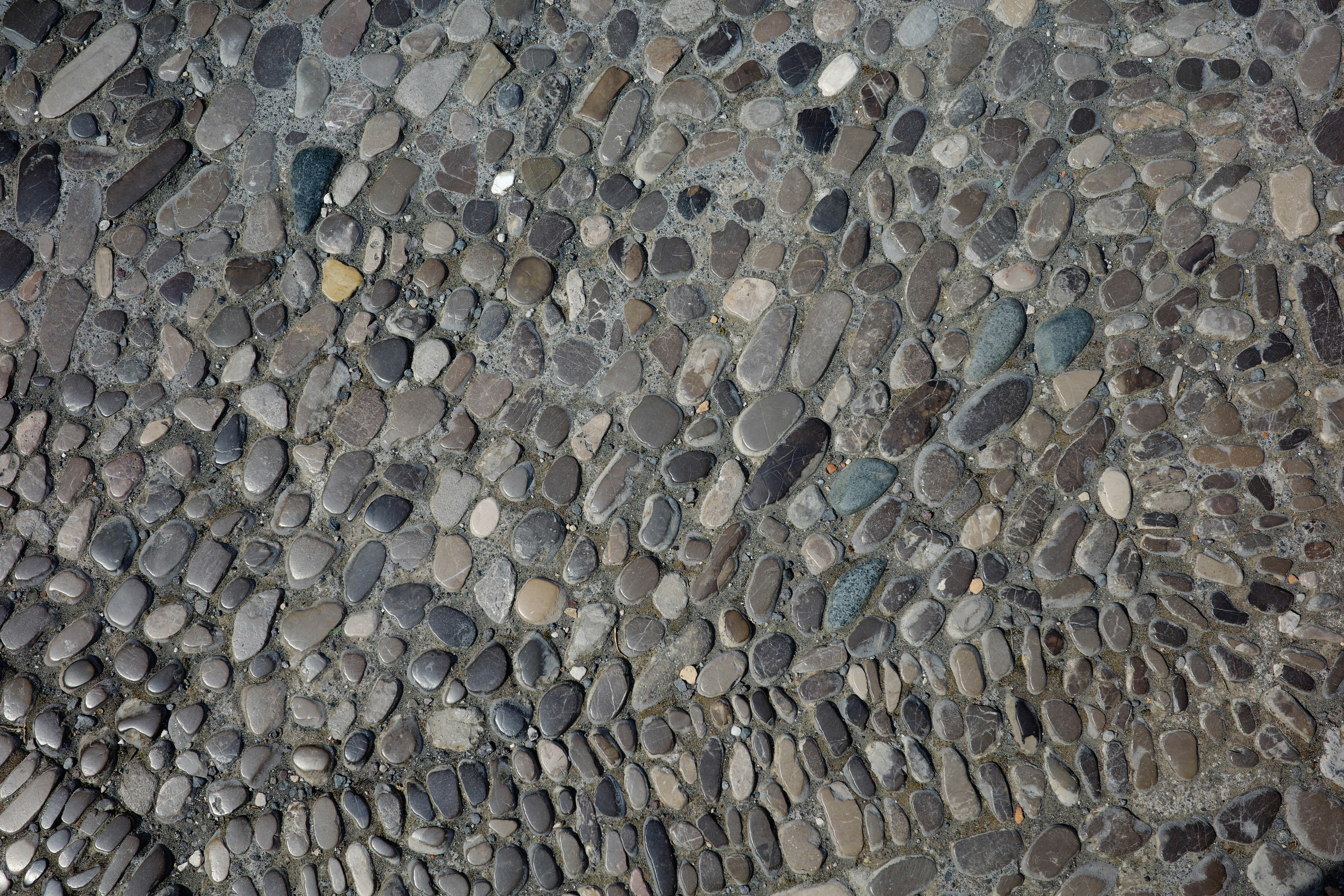 Close-up of pebble mosaic with varied stones pressed into a curved surface, highlighting texture and natural color tones. A construction detail showing irregular, rounded stones set in grout.