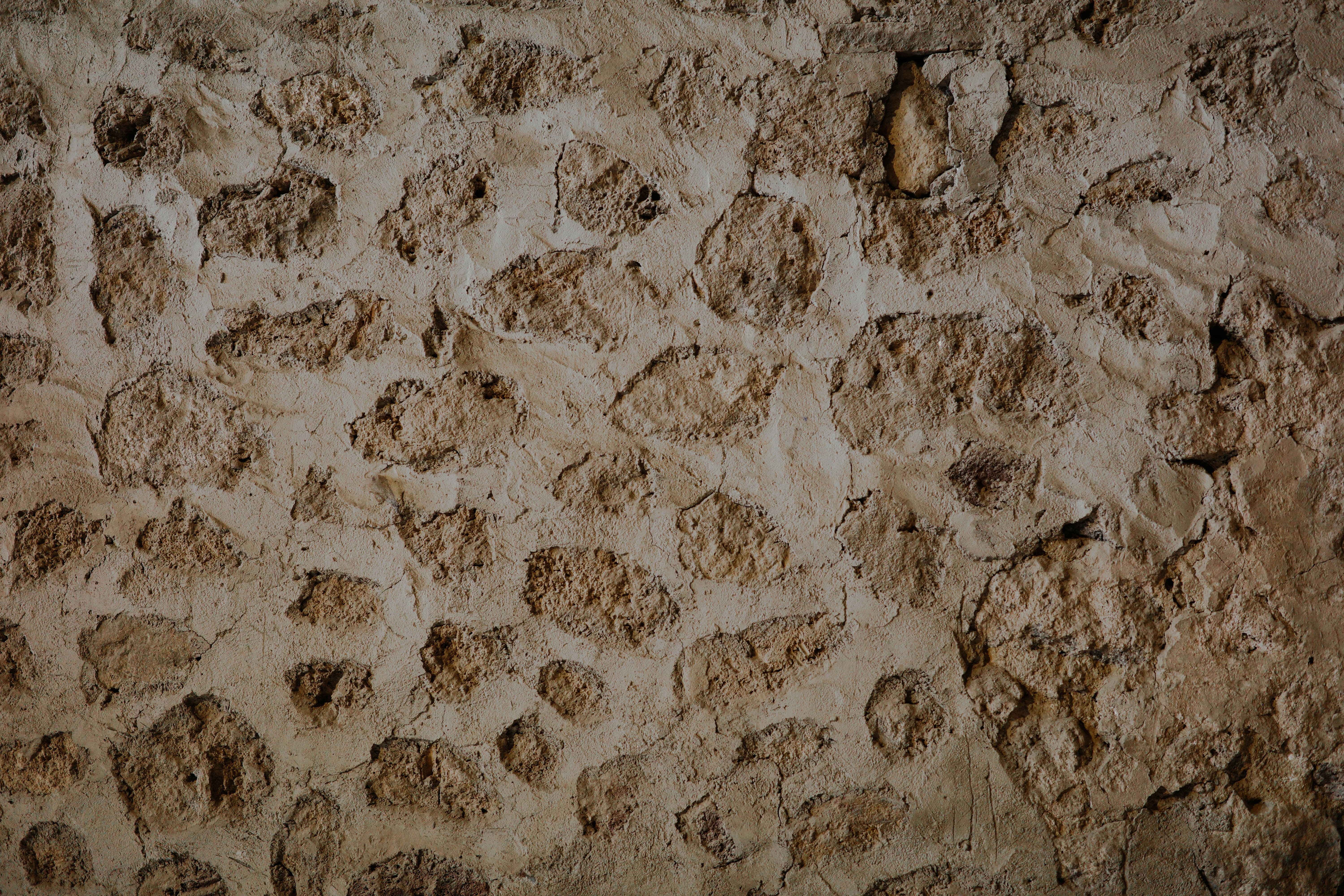 Rugged Limestone Mosaic: Evening Light on Weathered Stones