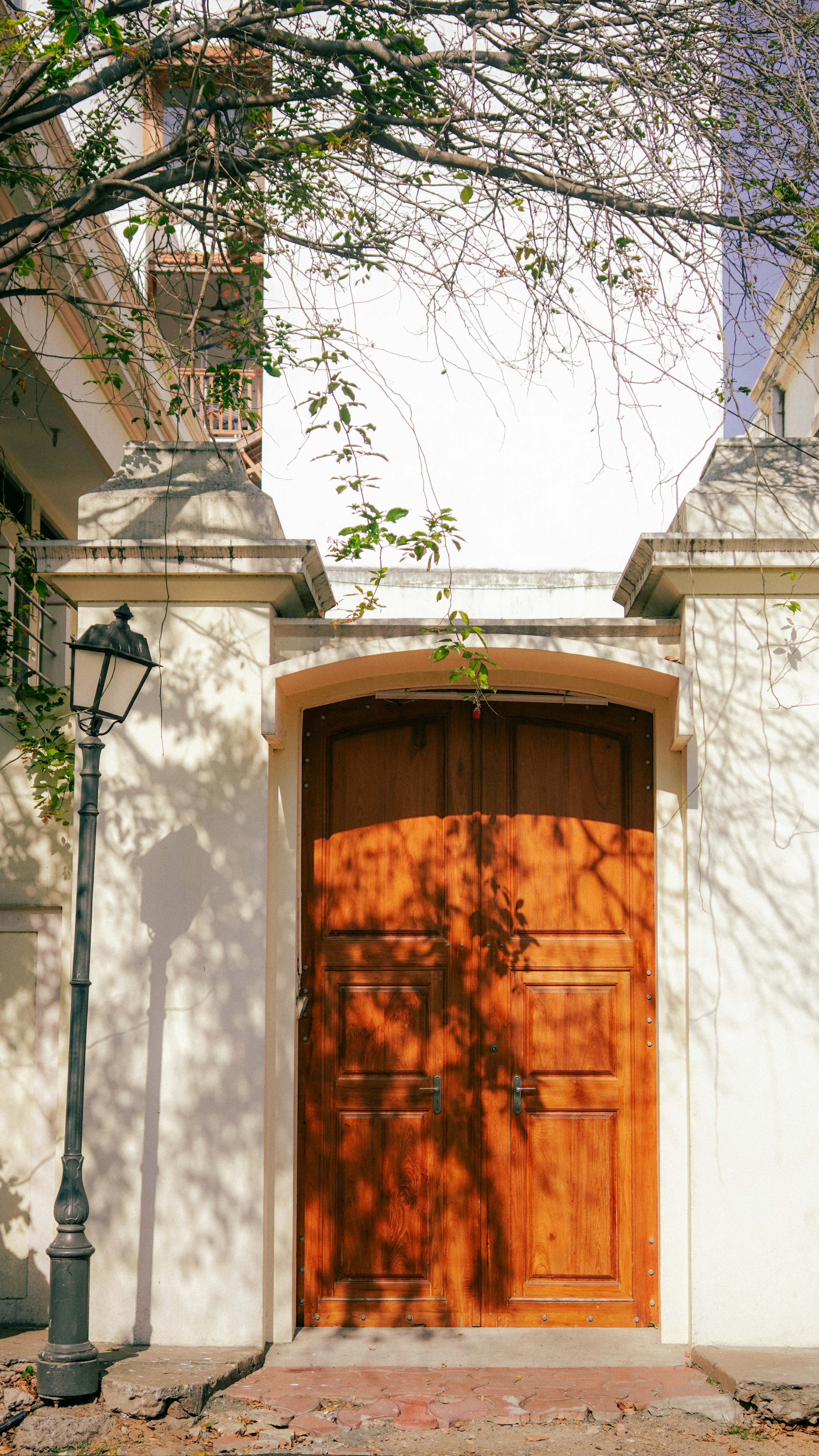 The Red Door Beneath Dappled Shade
