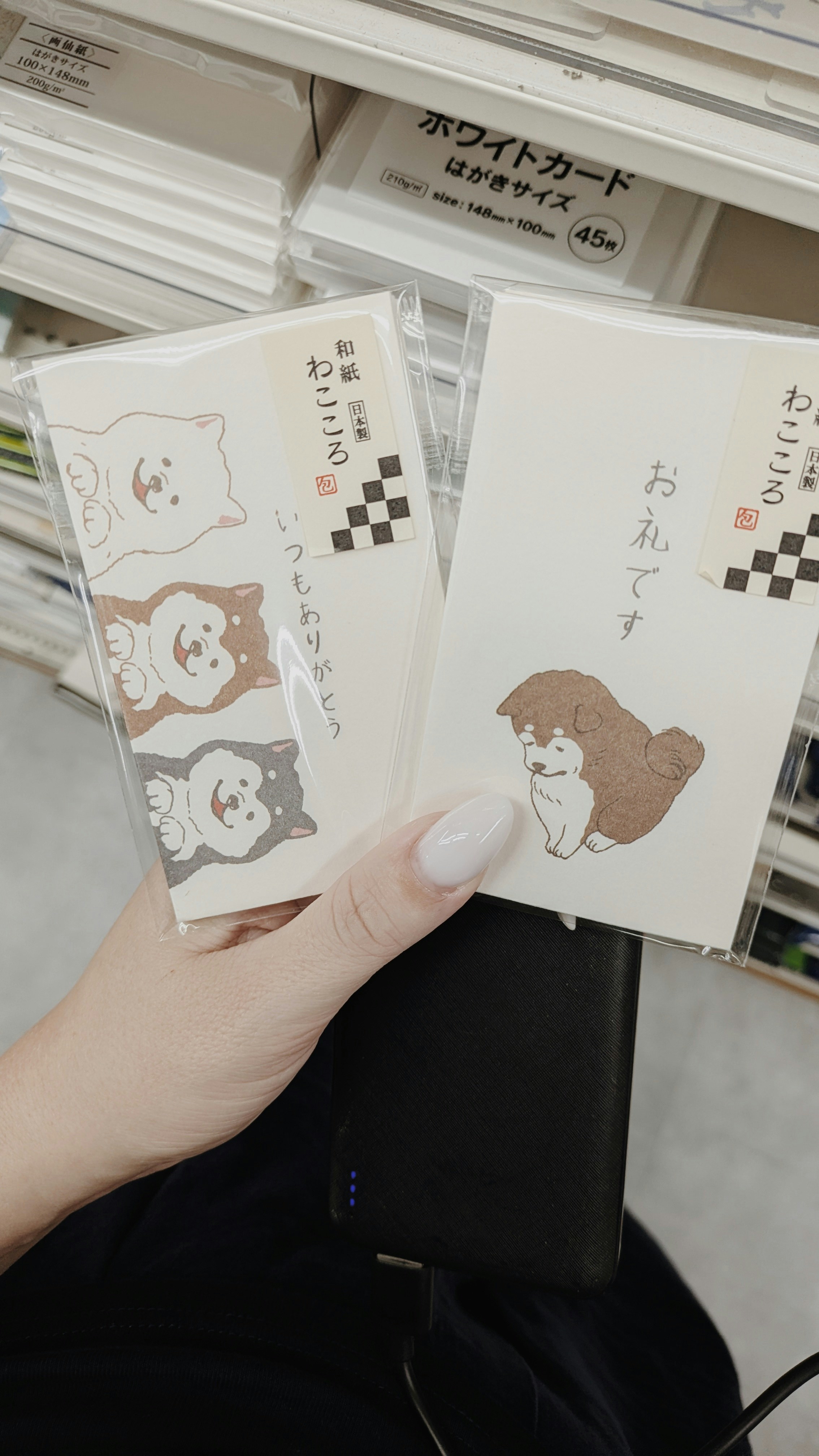 Greeting Cards in Hand: Kitten Illustrations on a Retail Shelf