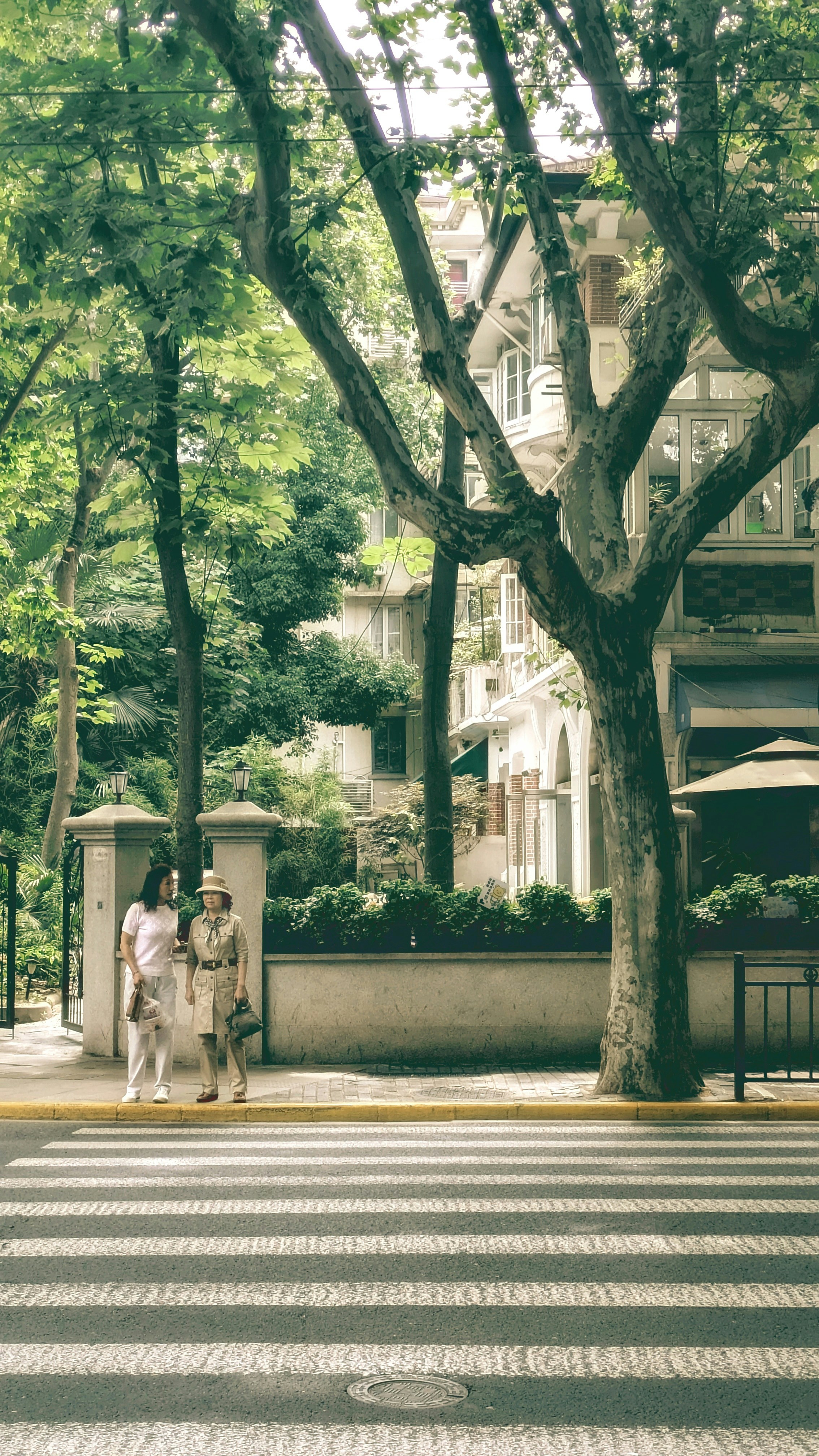 Two elderly pedestrians pause on a sunlit city street beneath a sprawling tree canopy; a residential street scene with a striped crosswalk and a low wall in the background. This is a candid street photograph.